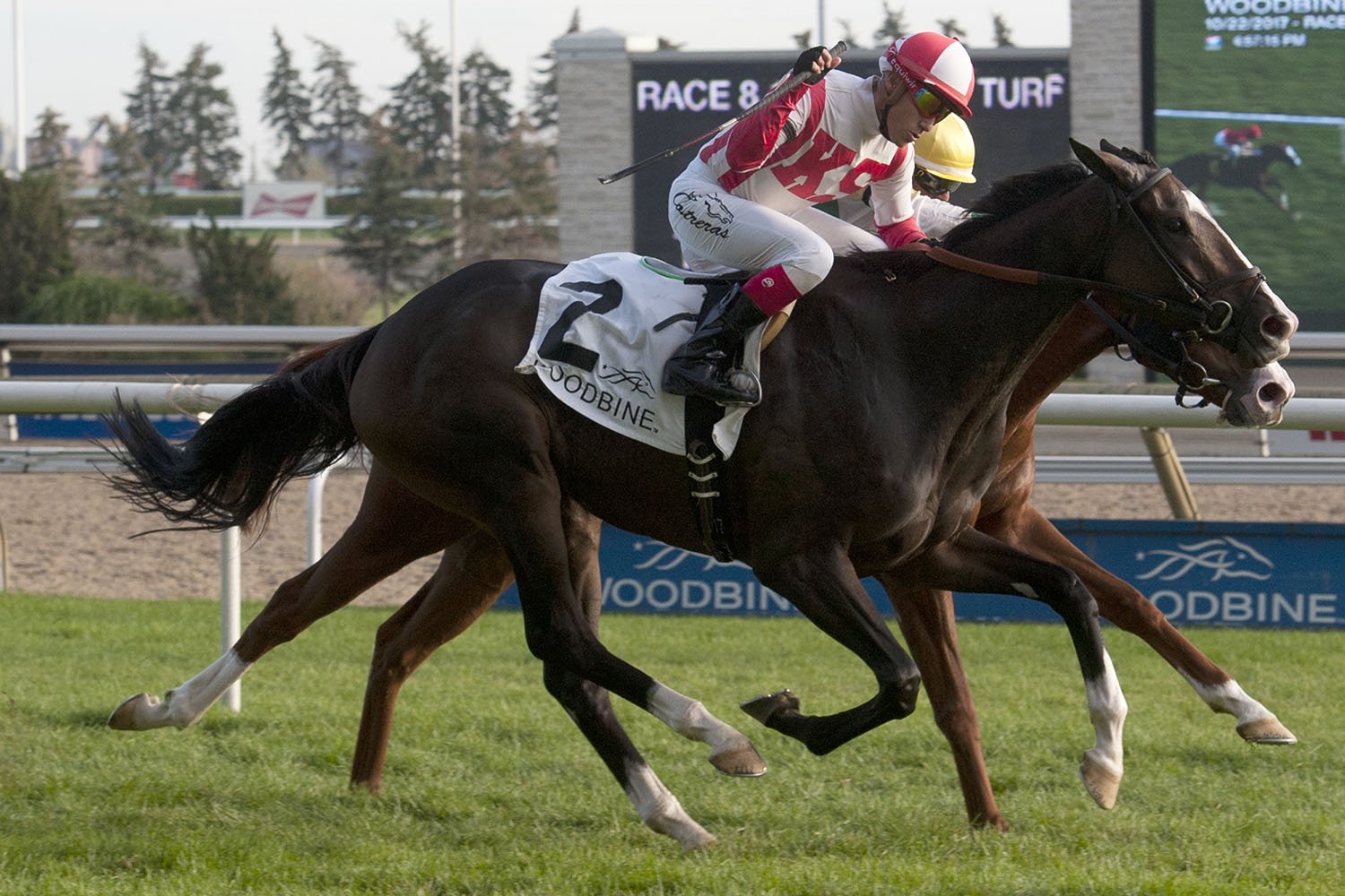 2 Days to Woodbine’s Season Opener - Woodbine Racetrack