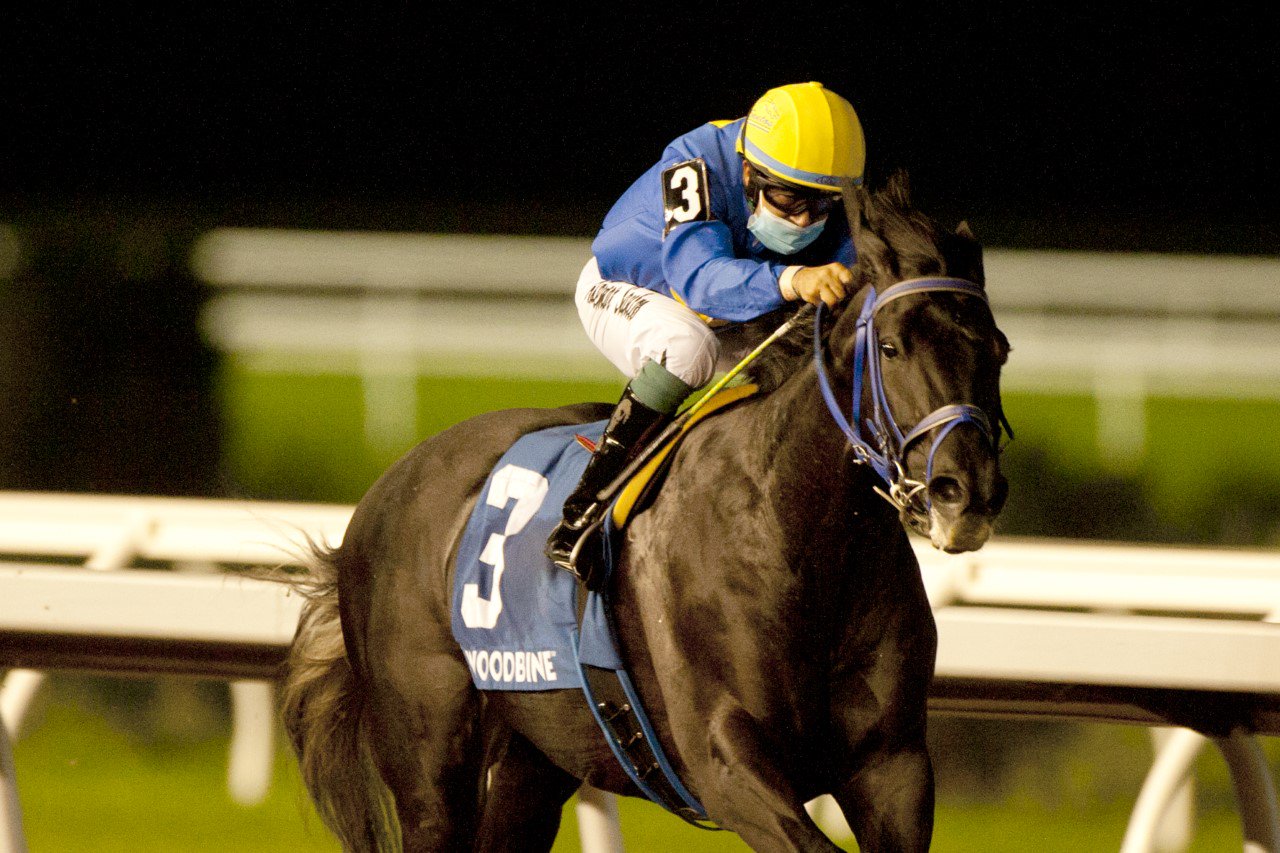 Ironstone Rock-Solid In Clarendon Stakes - Woodbine Racetrack
