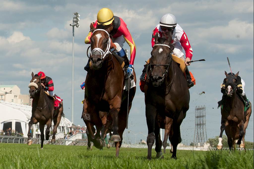 Jennifer Lynnette prevails in Royal North - Woodbine Racetrack