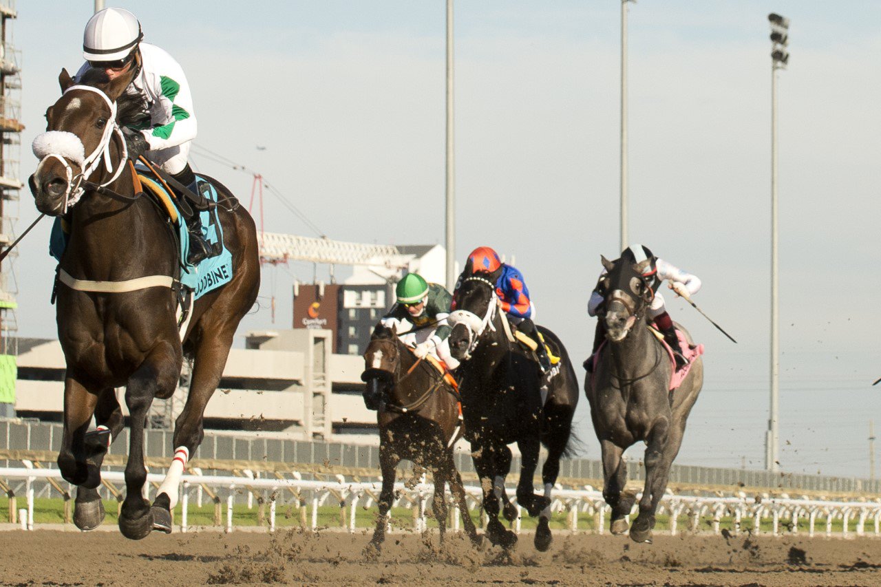 Moira Delivers Dazzling Debut In Princess Elizabeth - Woodbine Racetrack