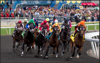 Upcoming Races - Woodbine Racetrack
