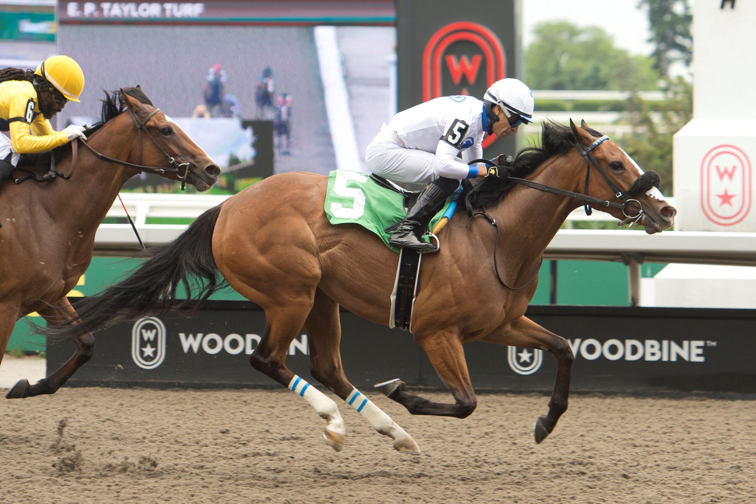 Inside Track for June 21-22 - Woodbine Racetrack