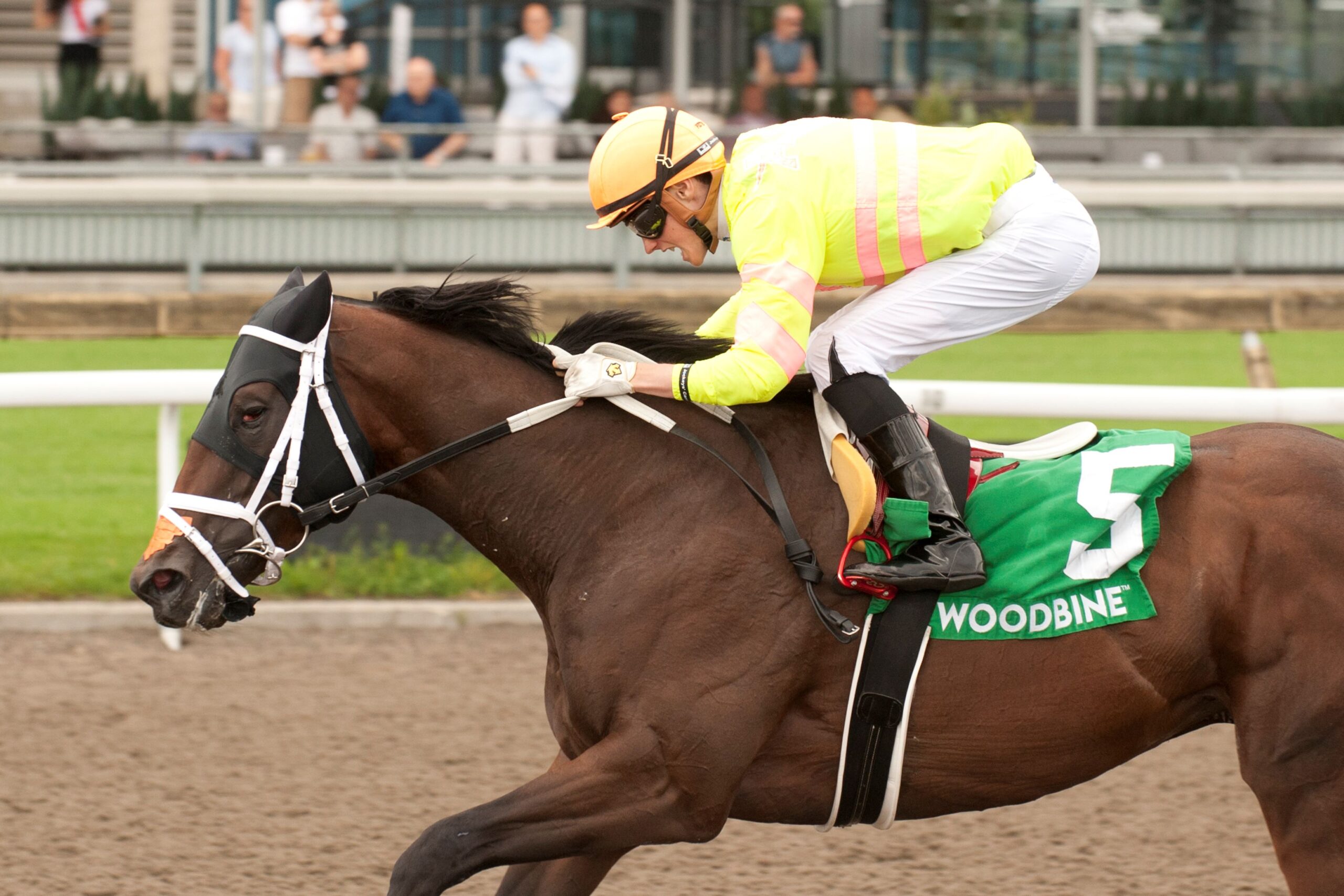 Inside Track (June 28-29) - Woodbine Racetrack