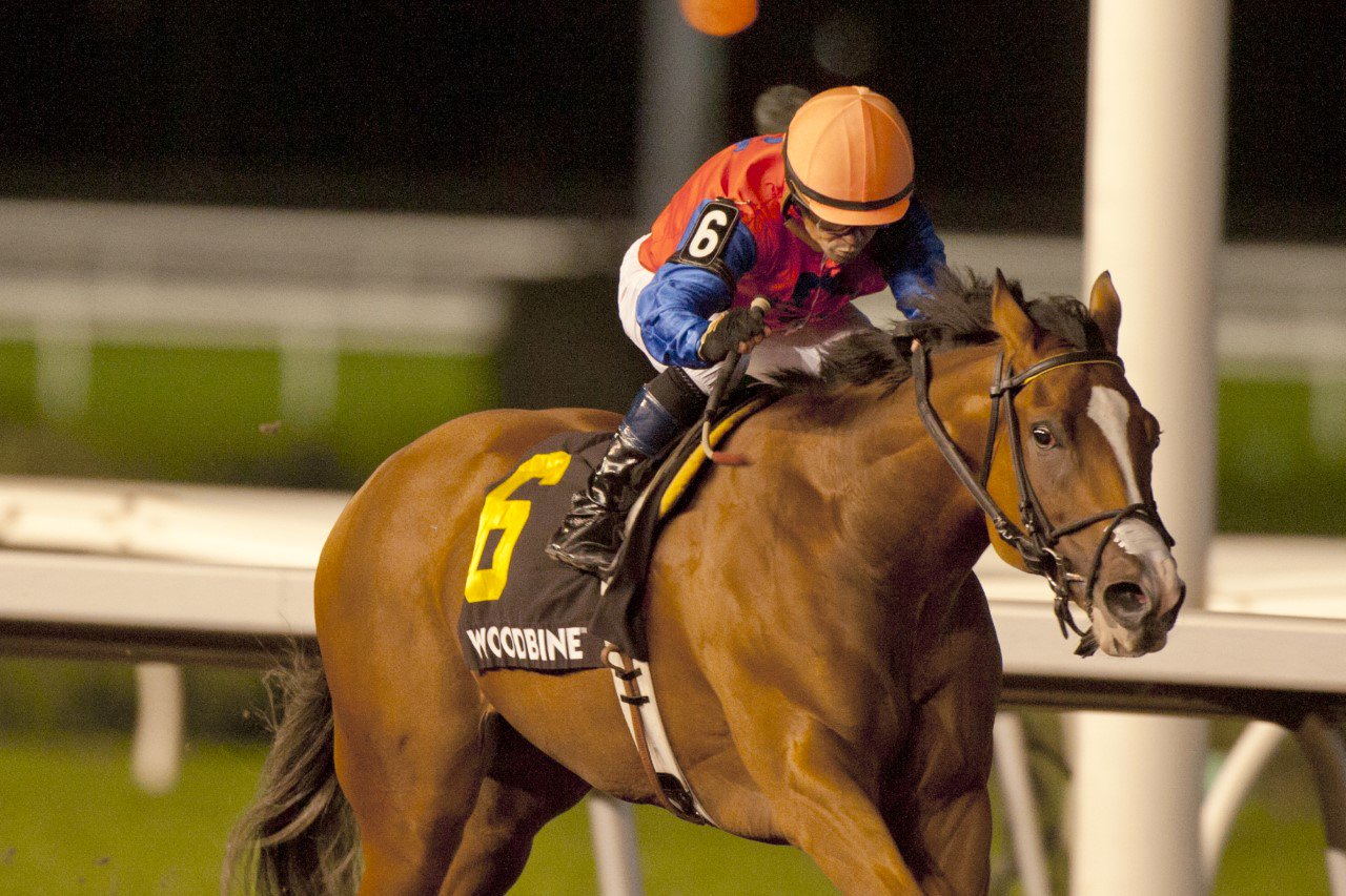 Marie MacKay Breaks Her Maiden In Shady Well Stakes - Woodbine Racetrack