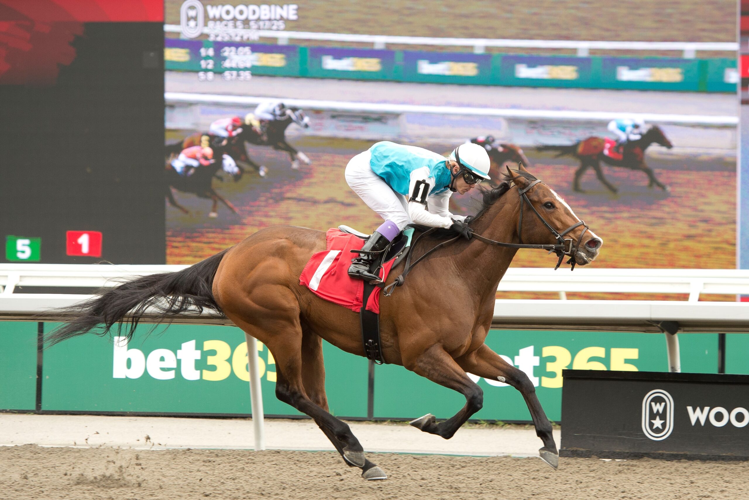 Inside Track: May 18-19 - Woodbine Racetrack
