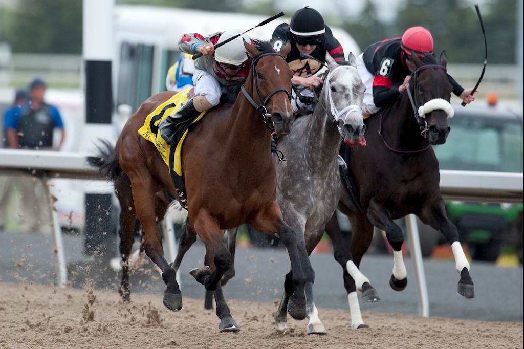 Minks Aprise stole the show in Trillium - Woodbine Racetrack