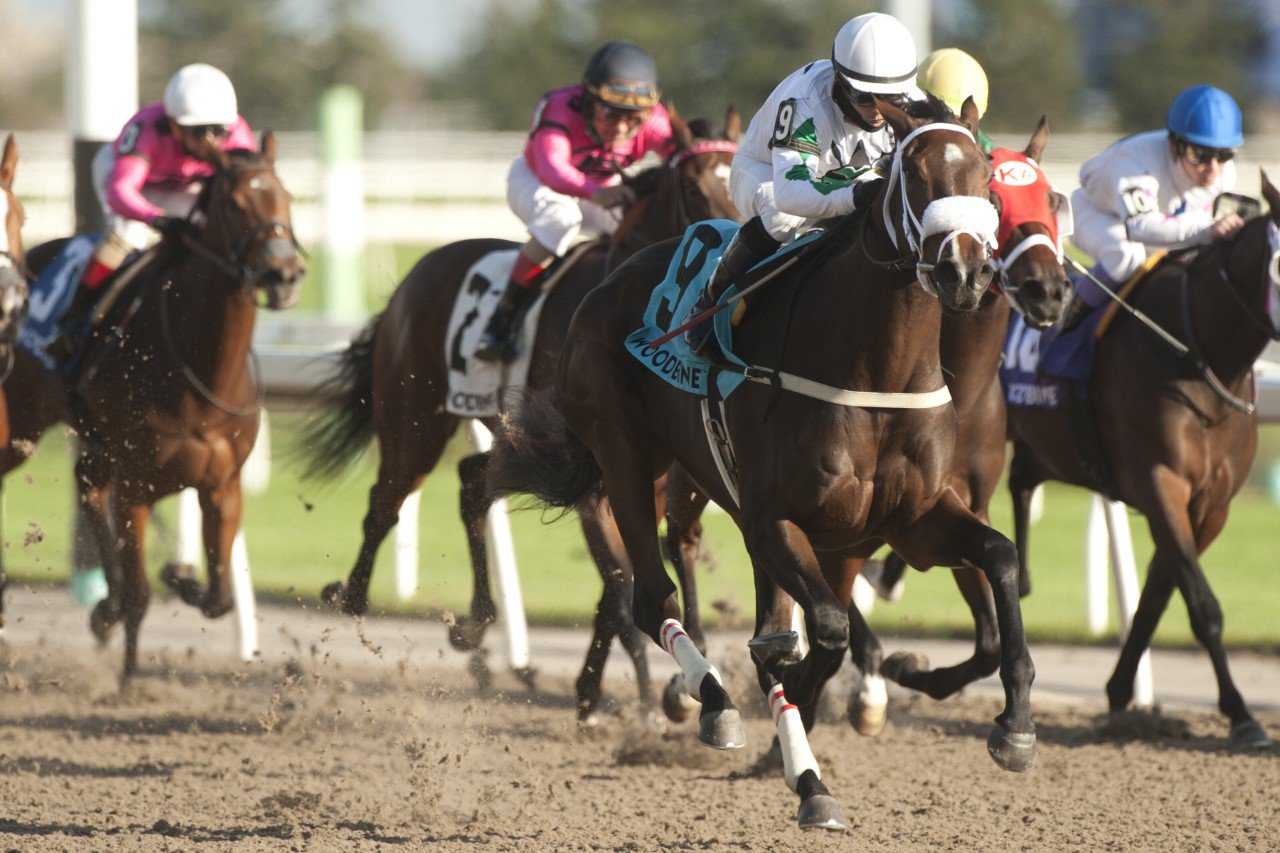 Moira Delivers Dazzling Debut In Princess Elizabeth - Woodbine Racetrack