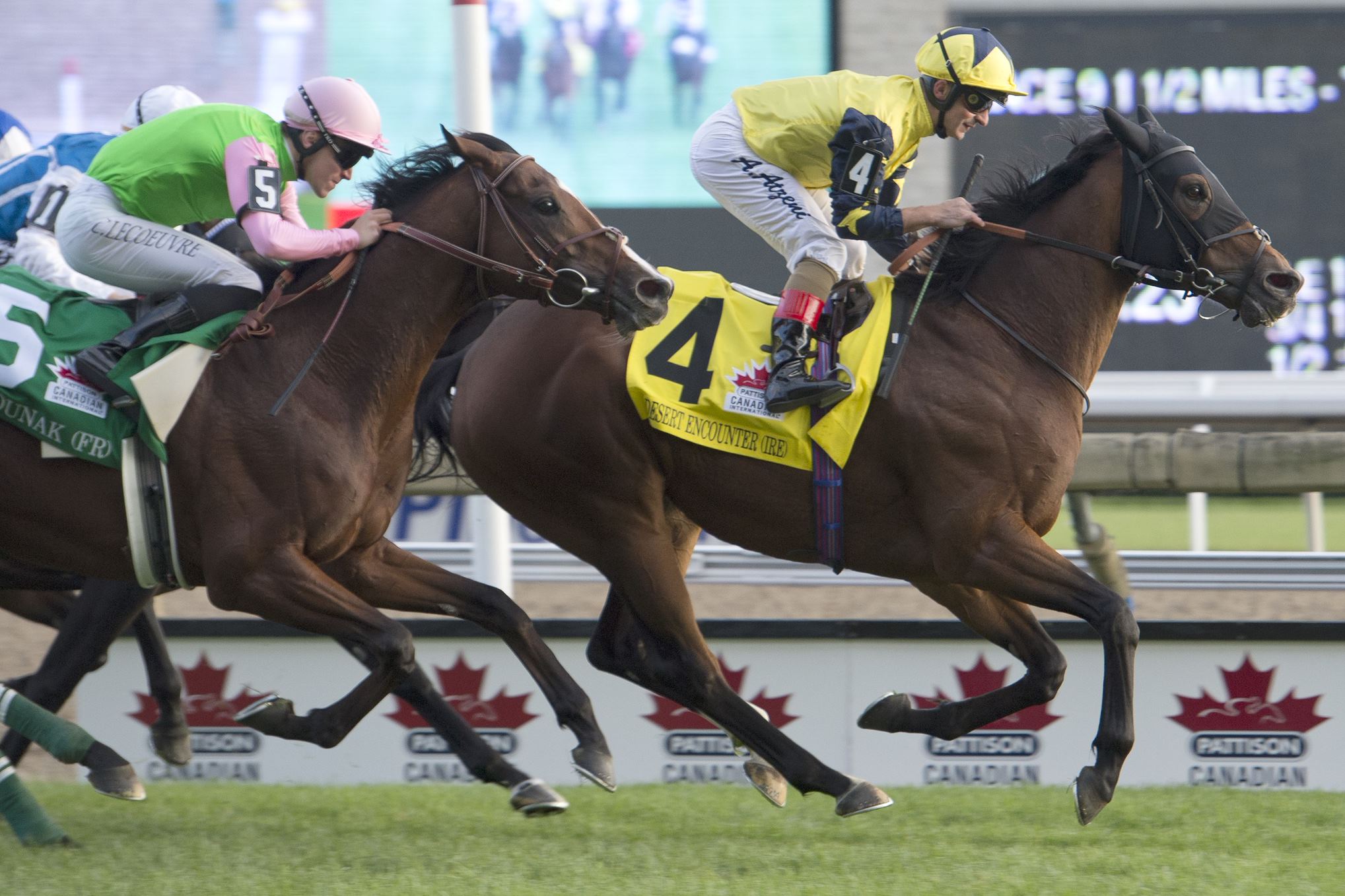 Grade 1 Canadian International: A legendary return - Woodbine Racetrack