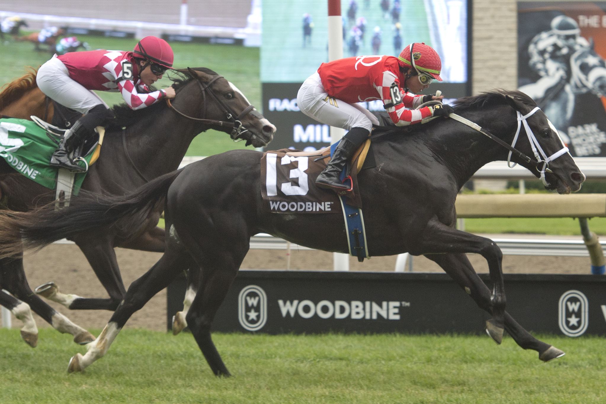 124 nominated to 2023 OLG Canadian Triple Crown - Woodbine Racetrack