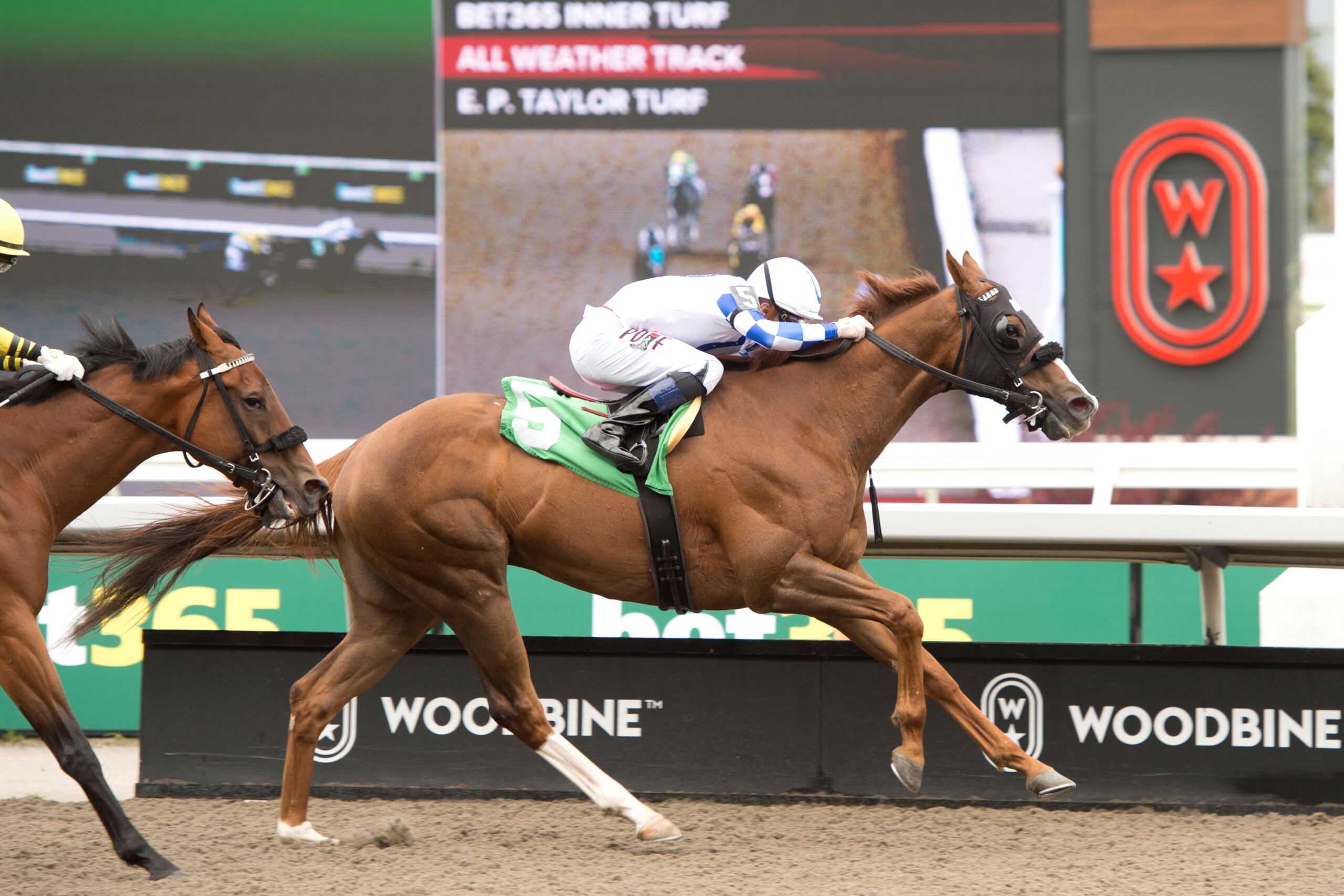 Inside Track: May 24-25 - Woodbine Racetrack