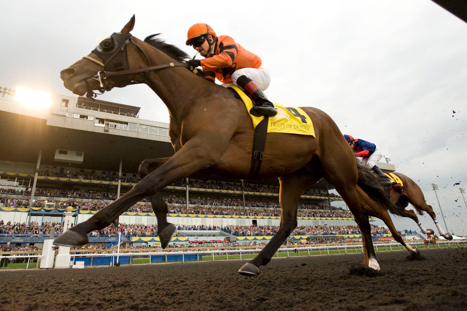 Long-time outstanding trainer Dan Vella joins Woodbine - Woodbine Racetrack