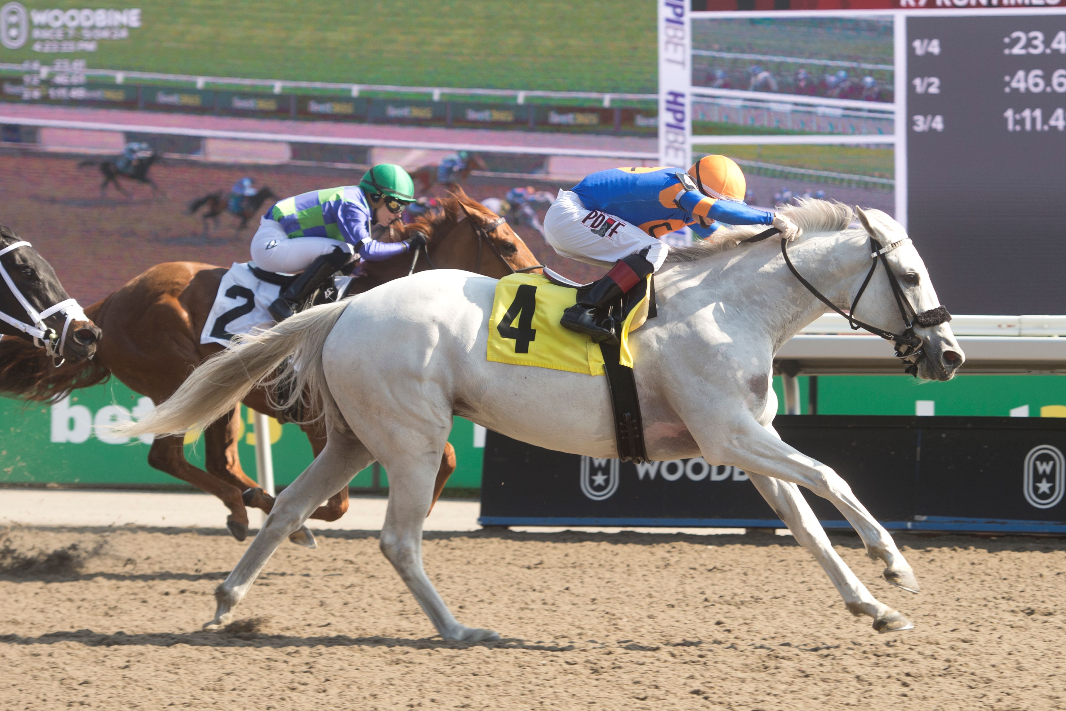 Queen Macha chases Grade 3 Bessarabian crown - Woodbine Racetrack