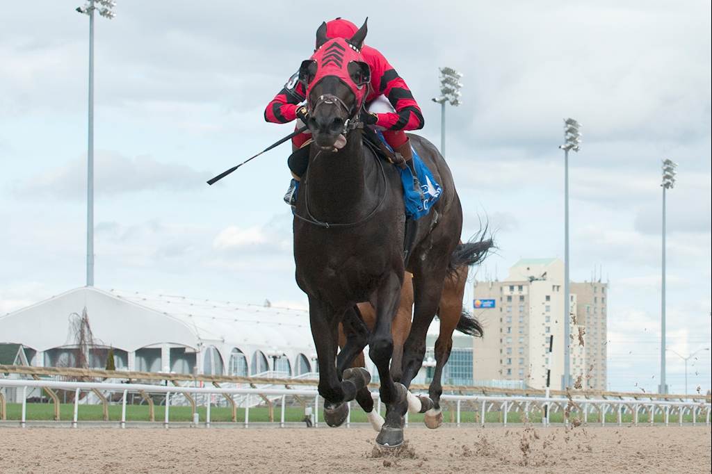 R Naja twinkles in Star Shoot - Woodbine Racetrack