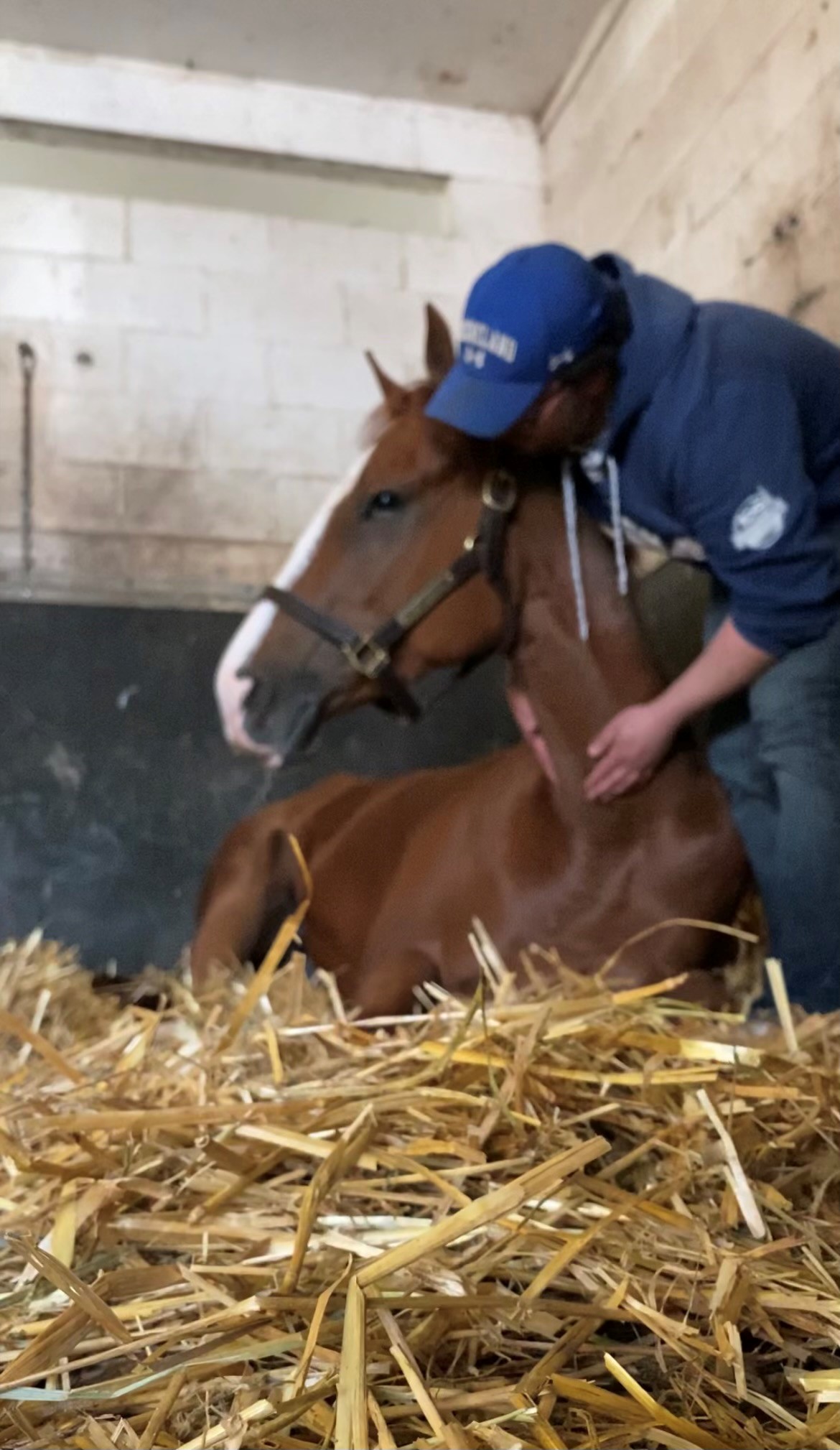 Woodbine Winter Report - Angus Buntain and Jamie Attard - Woodbine ...