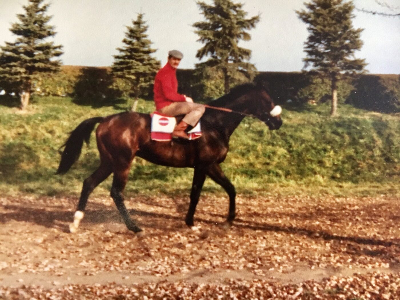 Fifty years on, Attfield still savours his first Plate with Norcliffe ...