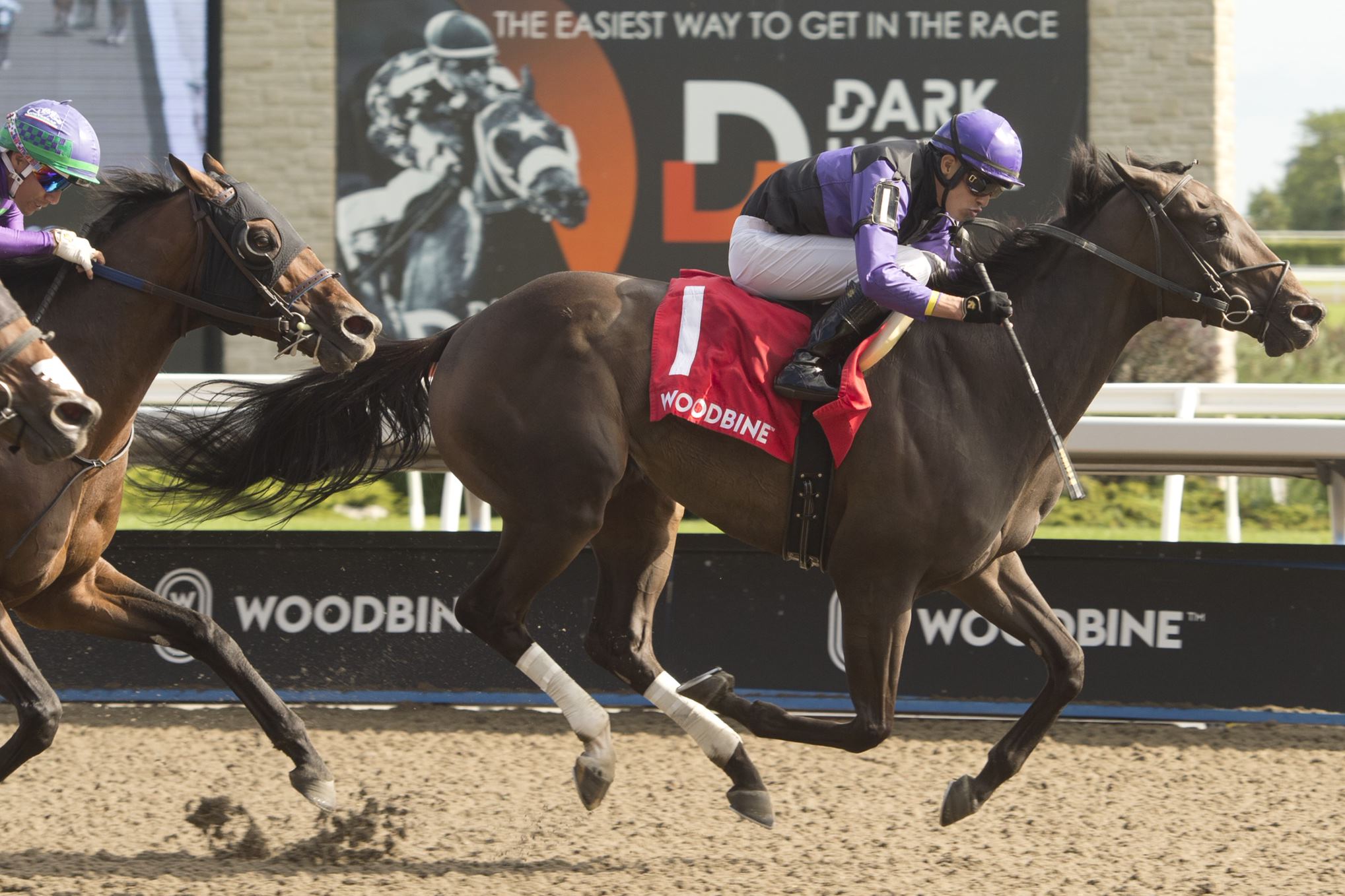 Secret Reserve looks to build assets with Vigil Stakes victory ...