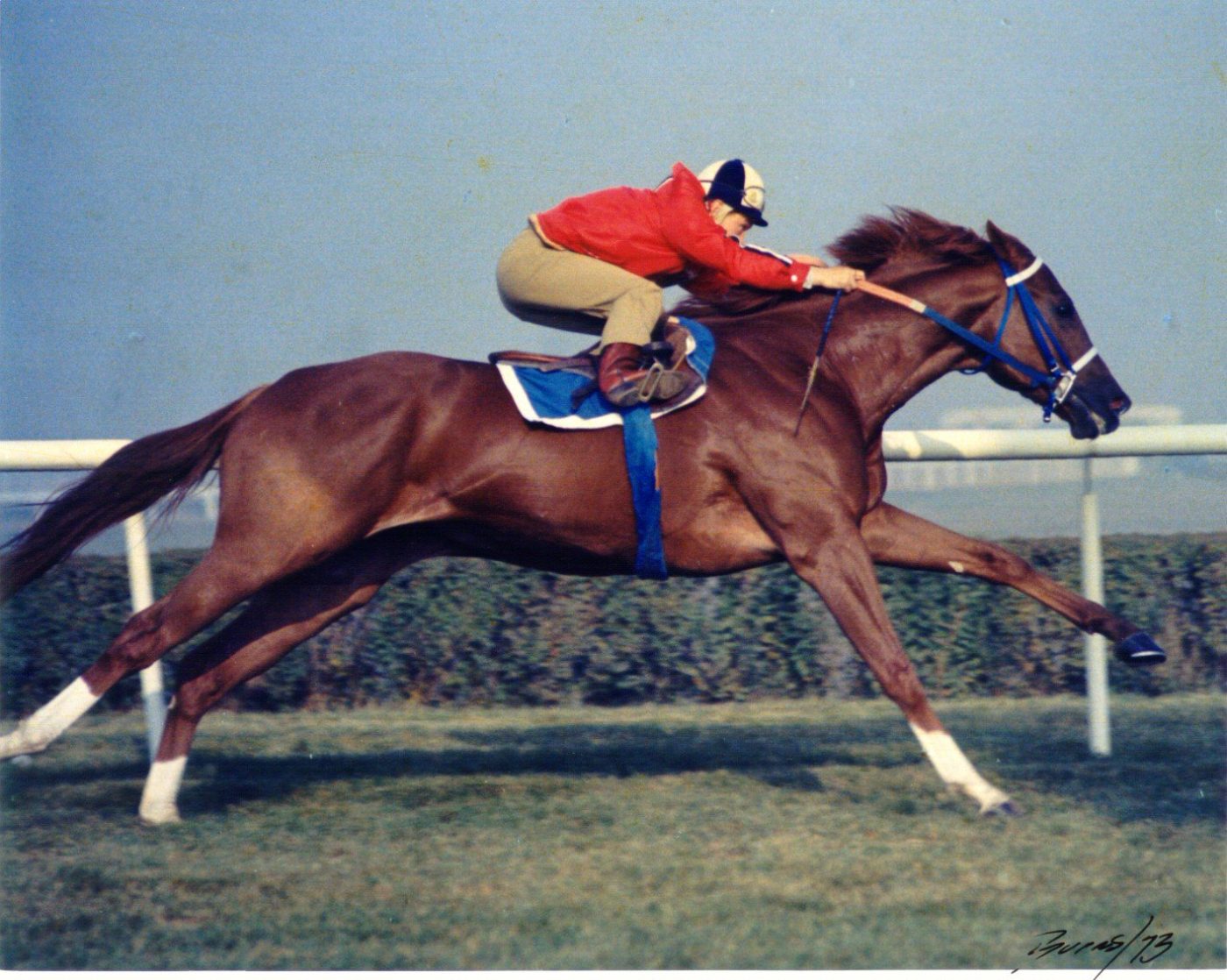 Secretariat’s 50th Anniversary Exhibit - Woodbine Racetrack
