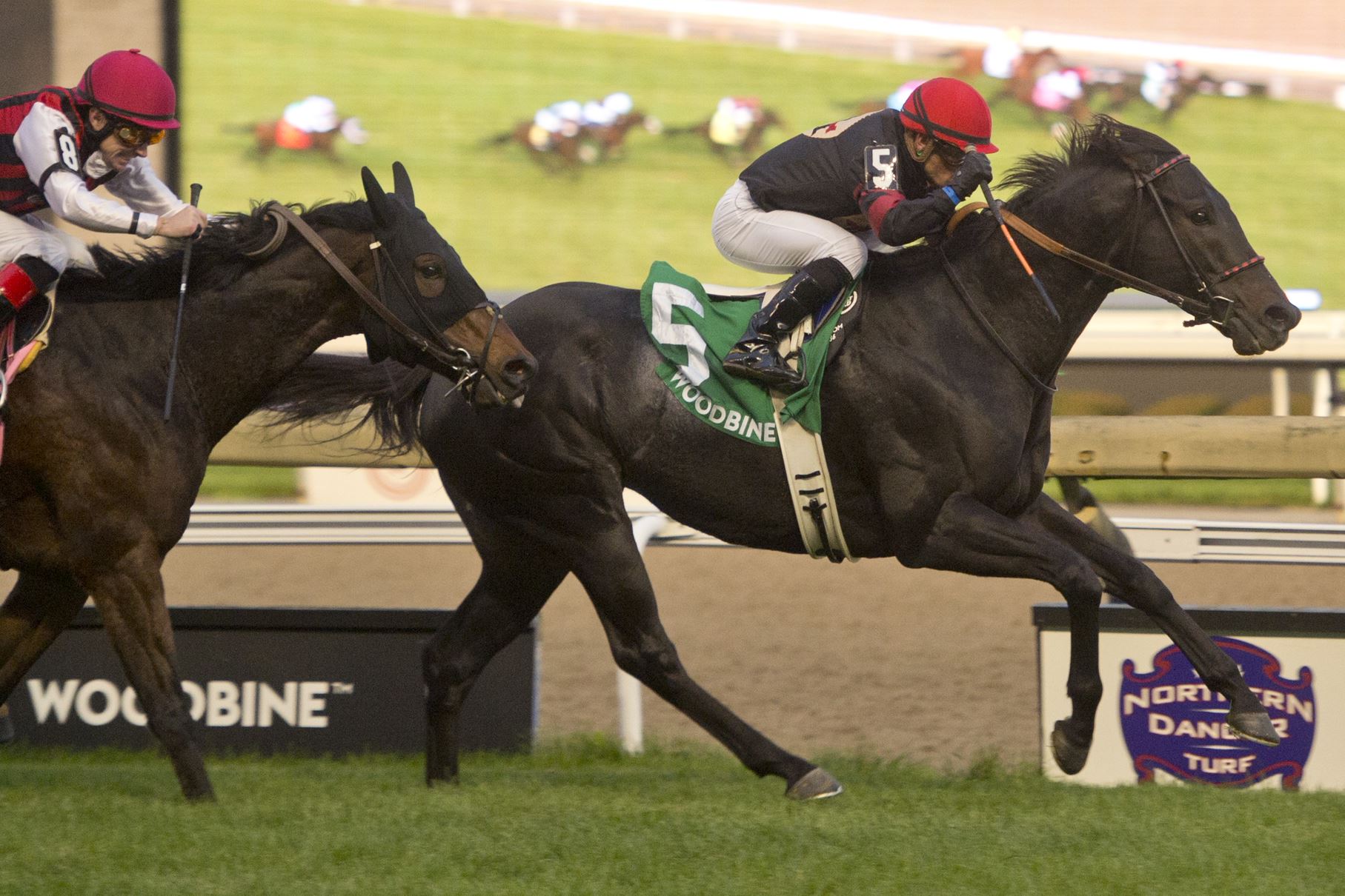 Graded stakes trio part of stellar Queen’s Plate card - Woodbine Racetrack