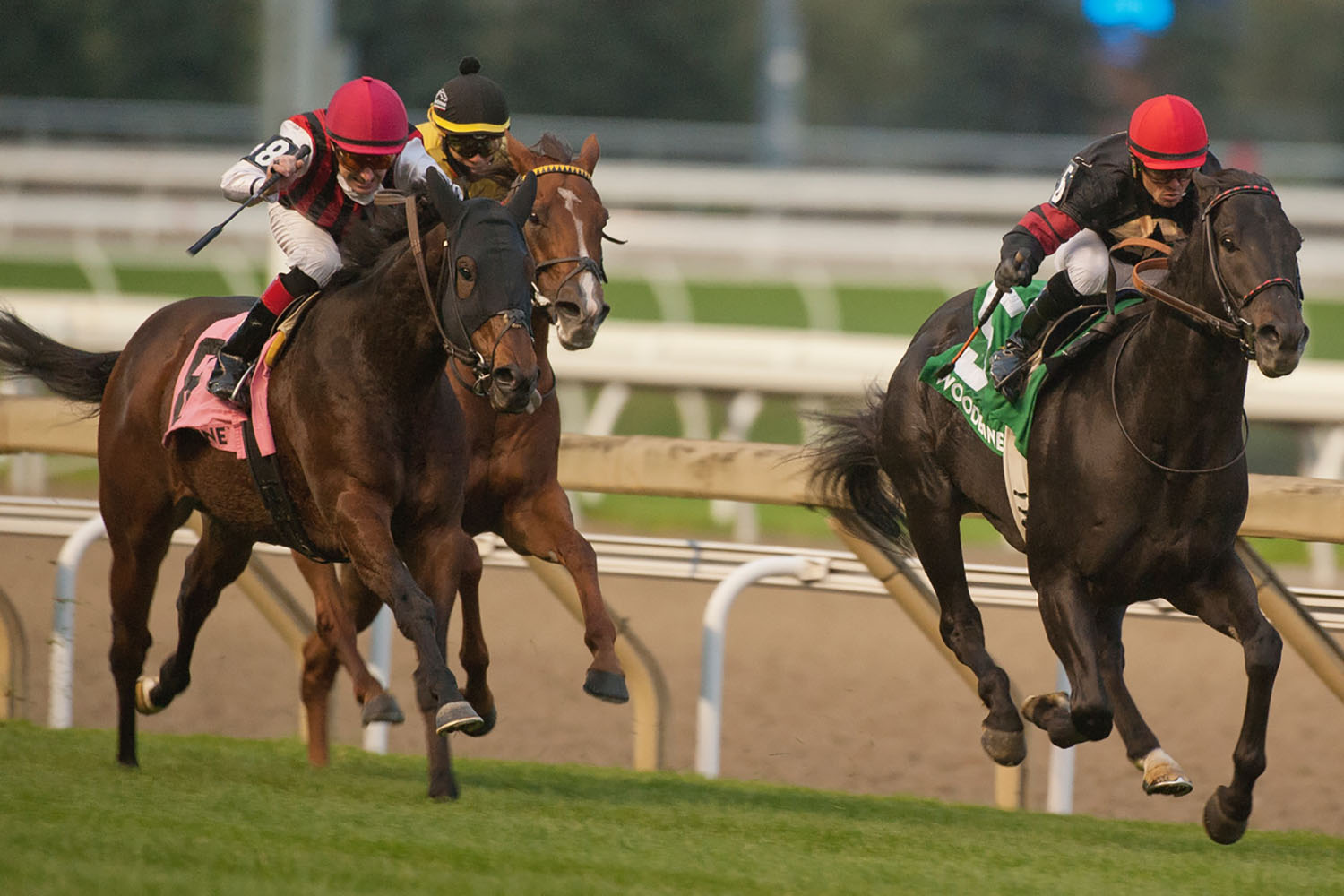 Woodbine Winter Report: February 17, 2021 (17-year-old owner Joshua ...