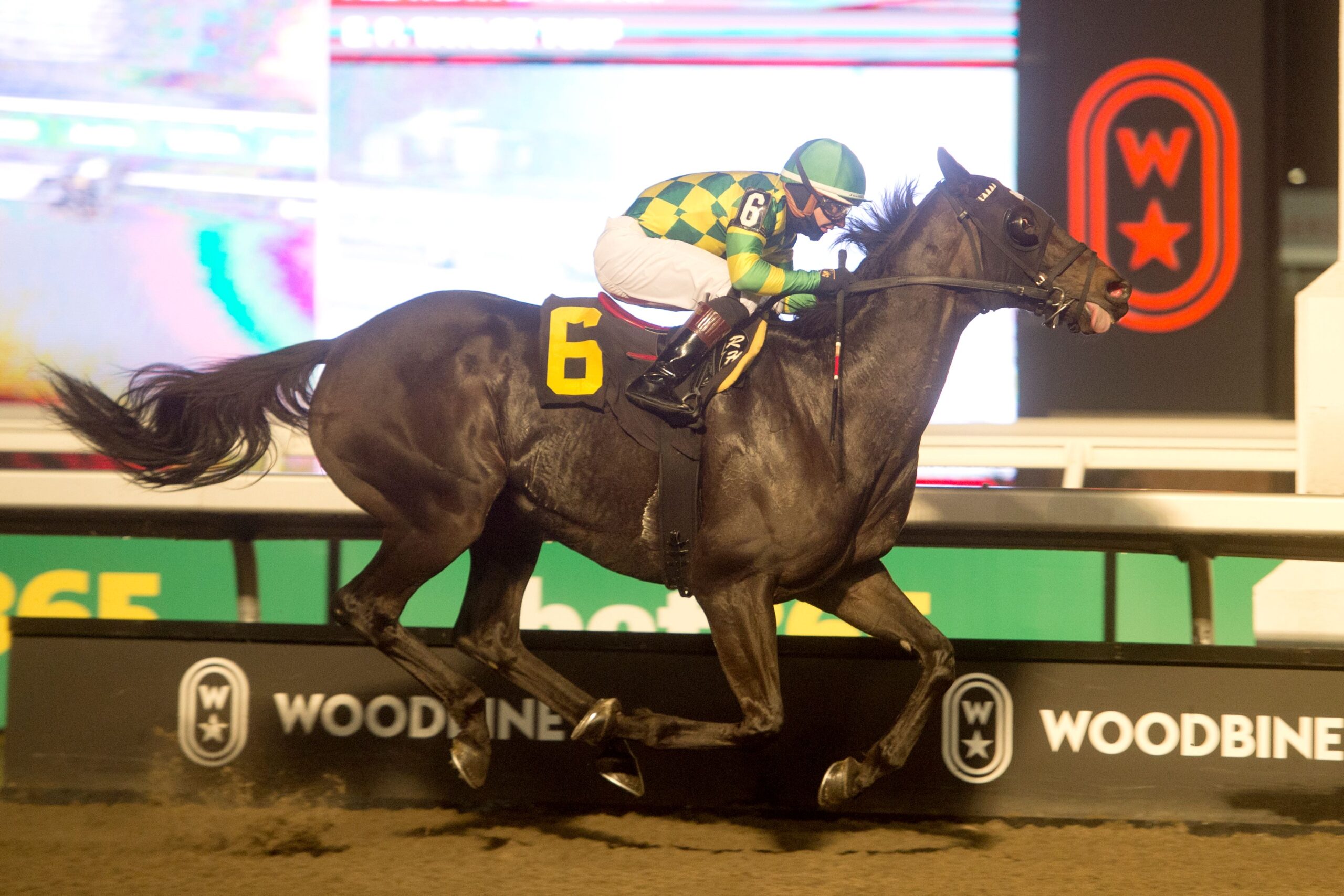 A Closer Look - Doug McPherson (June 22) - Woodbine Racetrack
