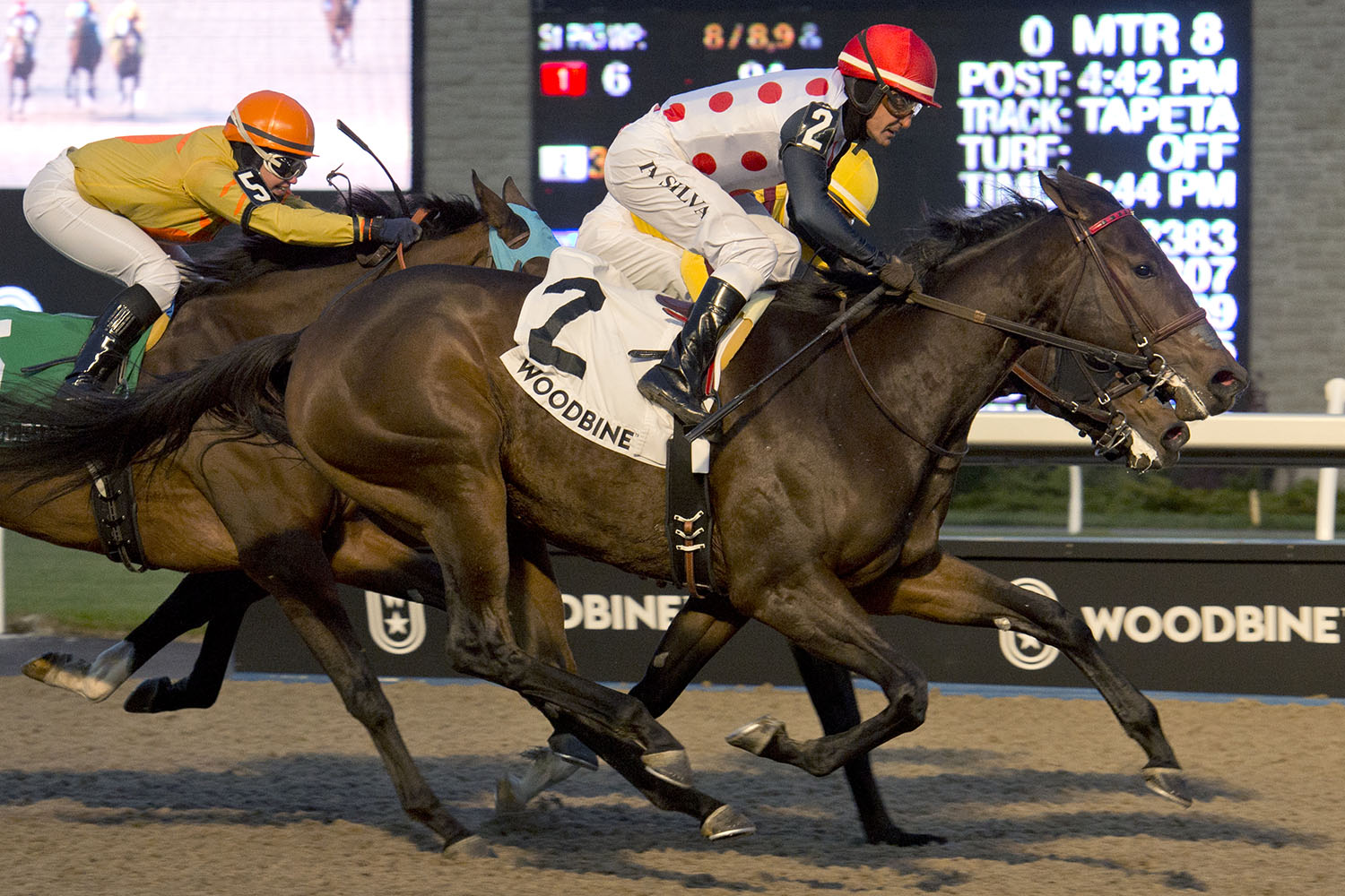 Make it eight! Another Glorious Song crown for Casse - Woodbine Racetrack