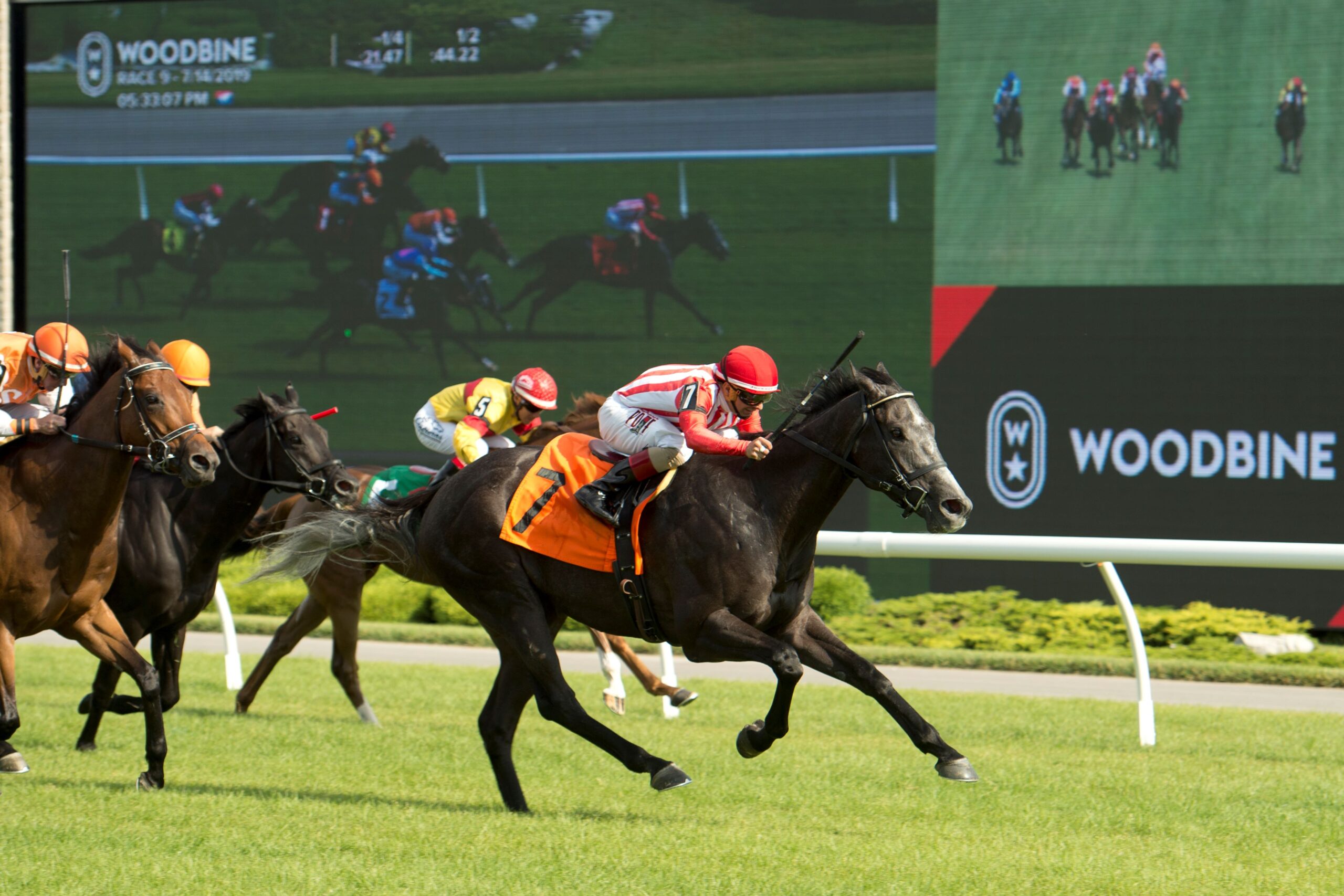 OTTB Spotlight: Spanish Express - Woodbine Racetrack