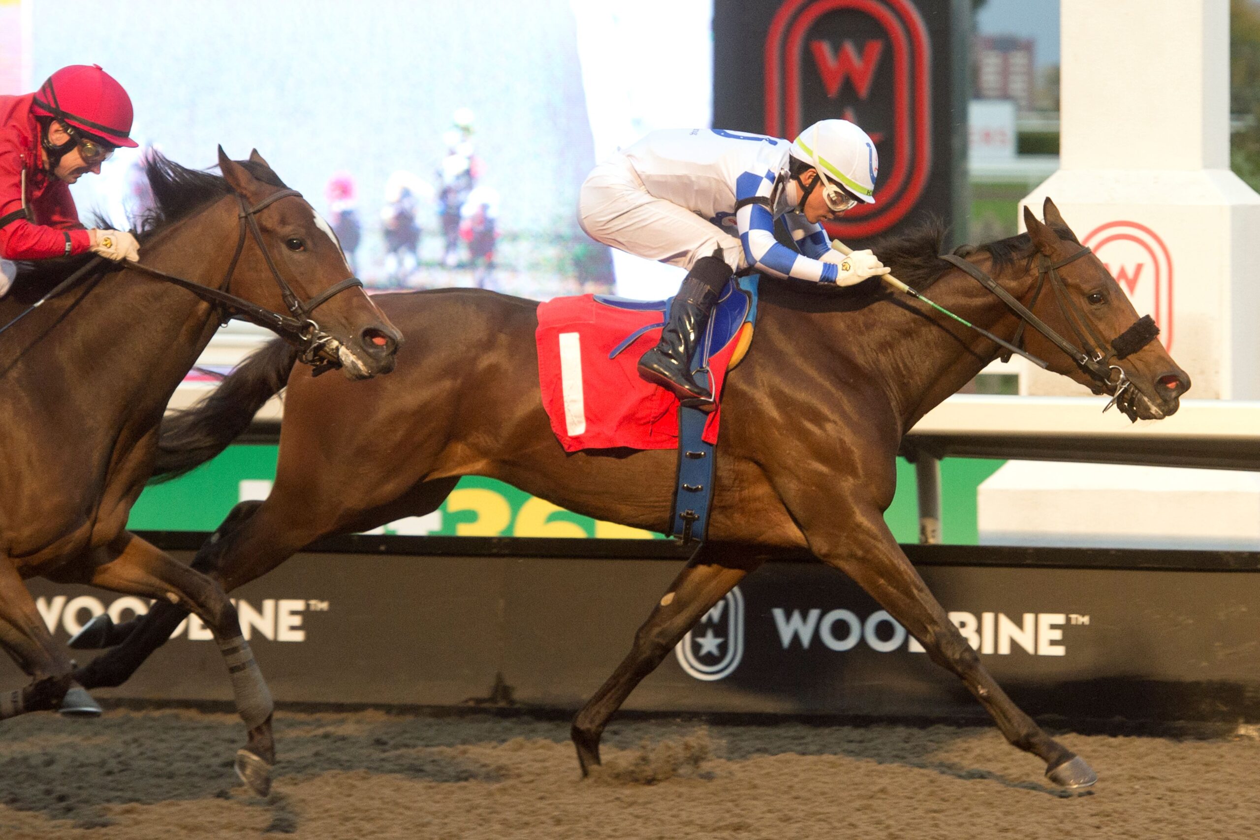 A Closer Look - Doug McPherson - Woodbine Racetrack