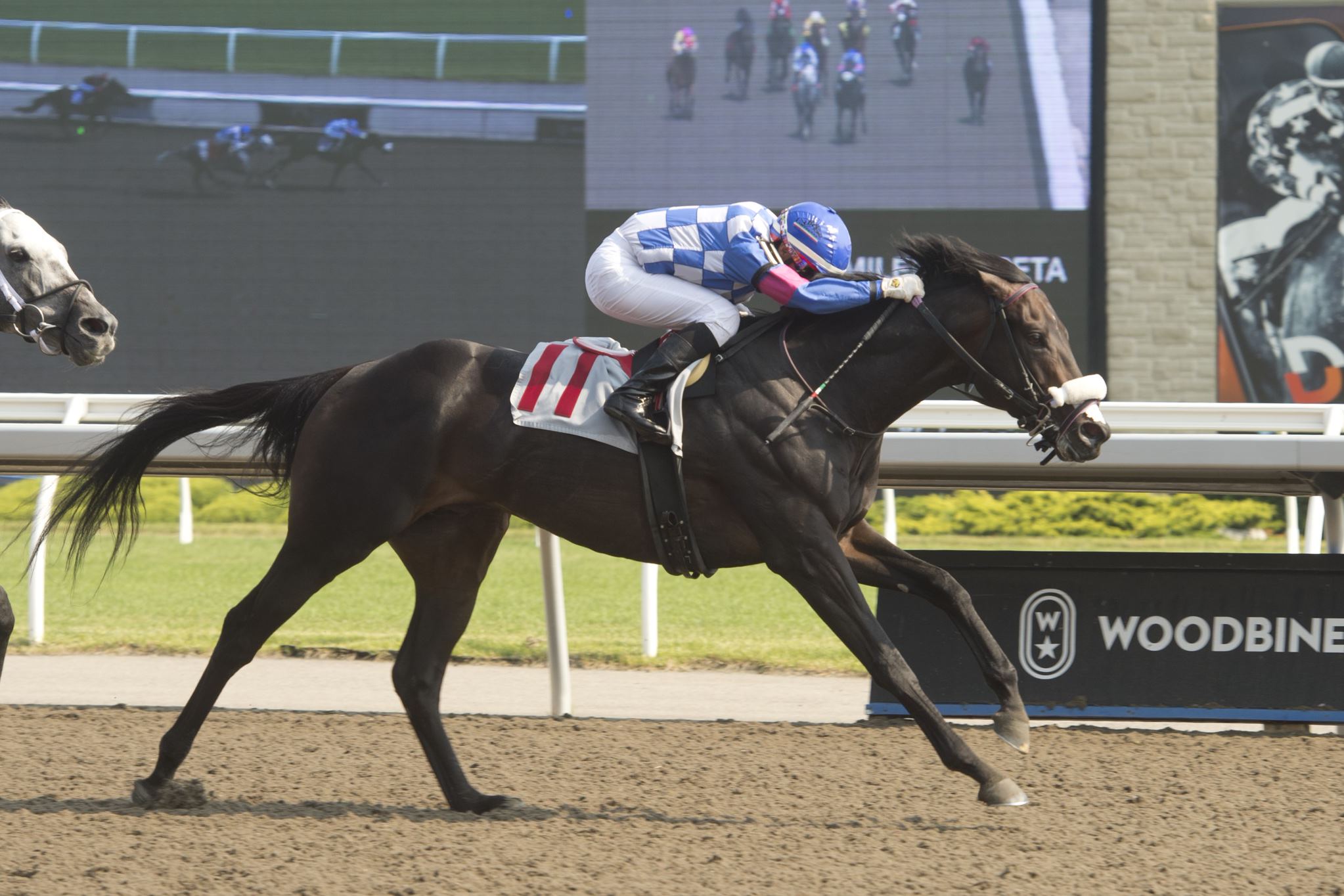Stanley House tops initial King’s Plate Power Rankings - Woodbine Racetrack