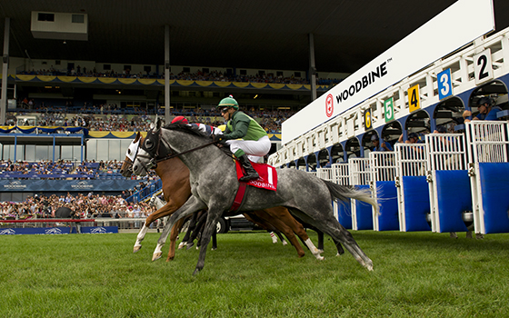 Incentives - Woodbine Racetrack