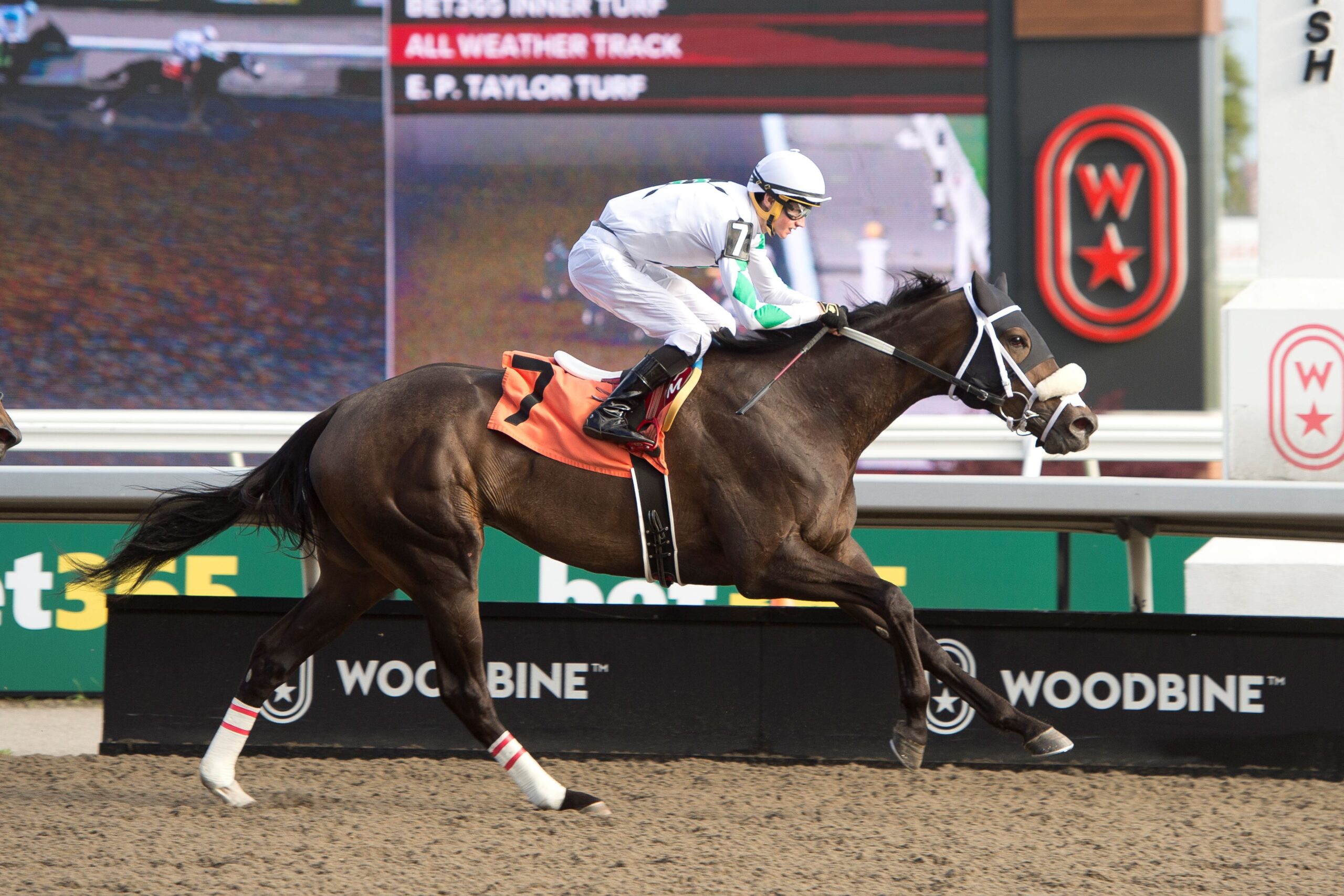 A Closer Look – Doug McPherson (July 12) - Woodbine Racetrack
