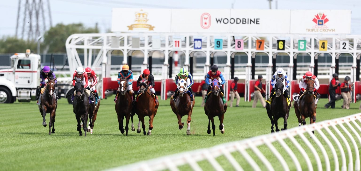 Horse Racing - Woodbine Racetrack