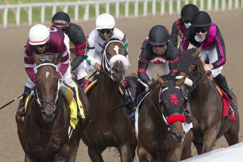 The Week That Was - May 17, 2021 - Woodbine Racetrack