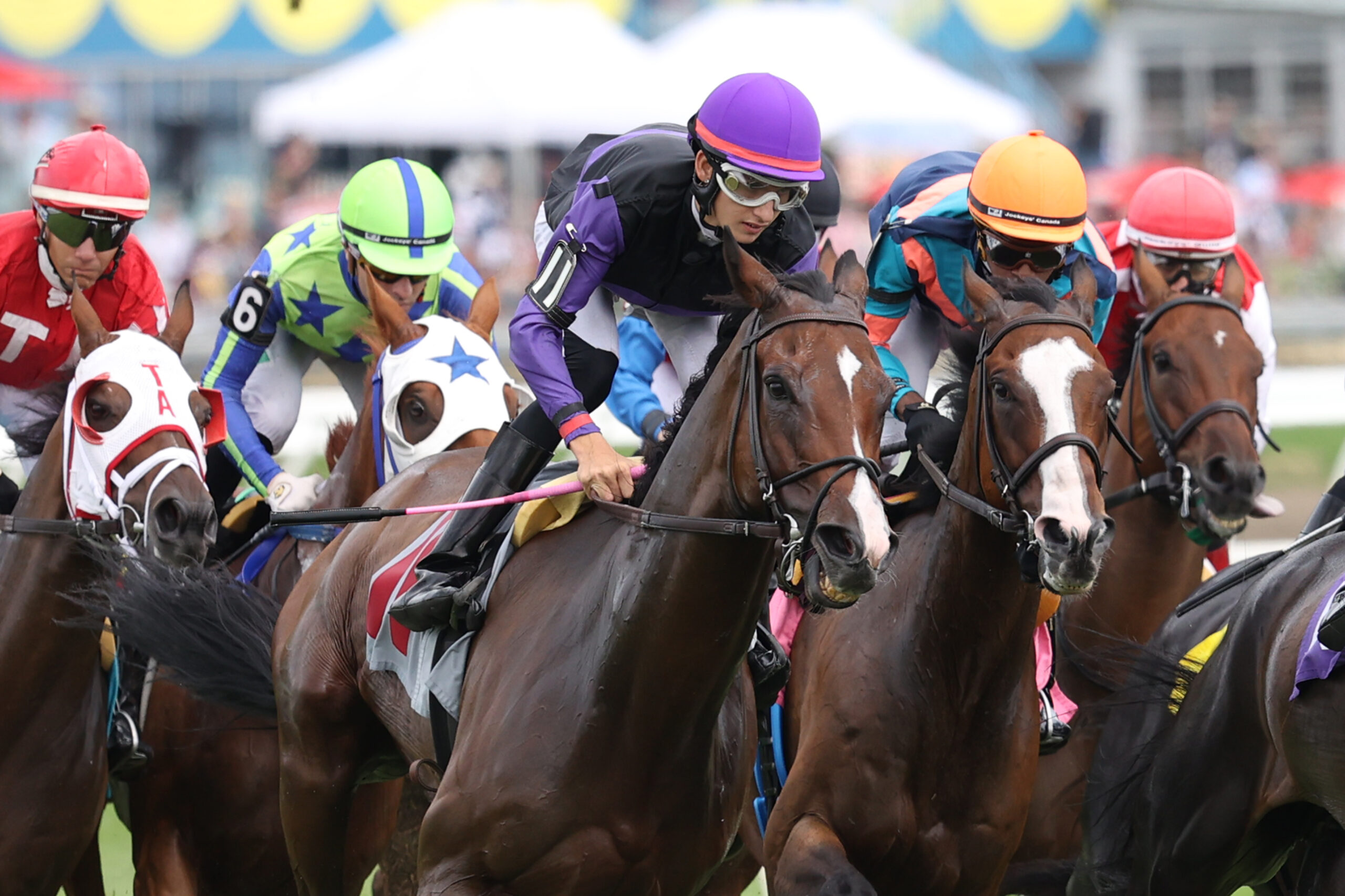 Betting the Fountain of Youth and Gotham Stakes with Handicapper Ed ...