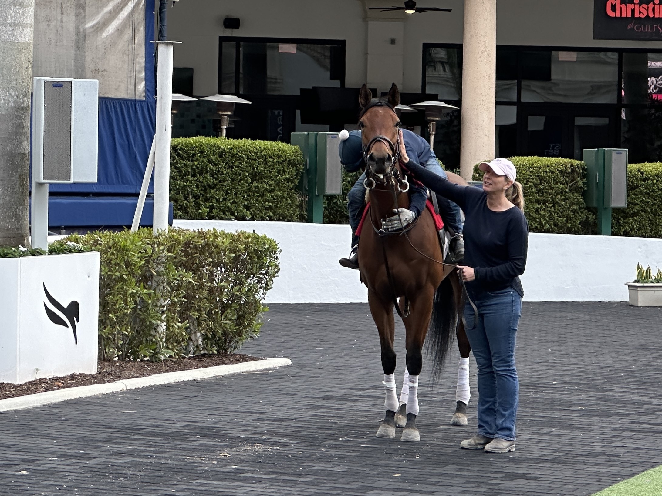 From the West Coast to Woodbine: Tara Neigel is Finding Her Stride ...