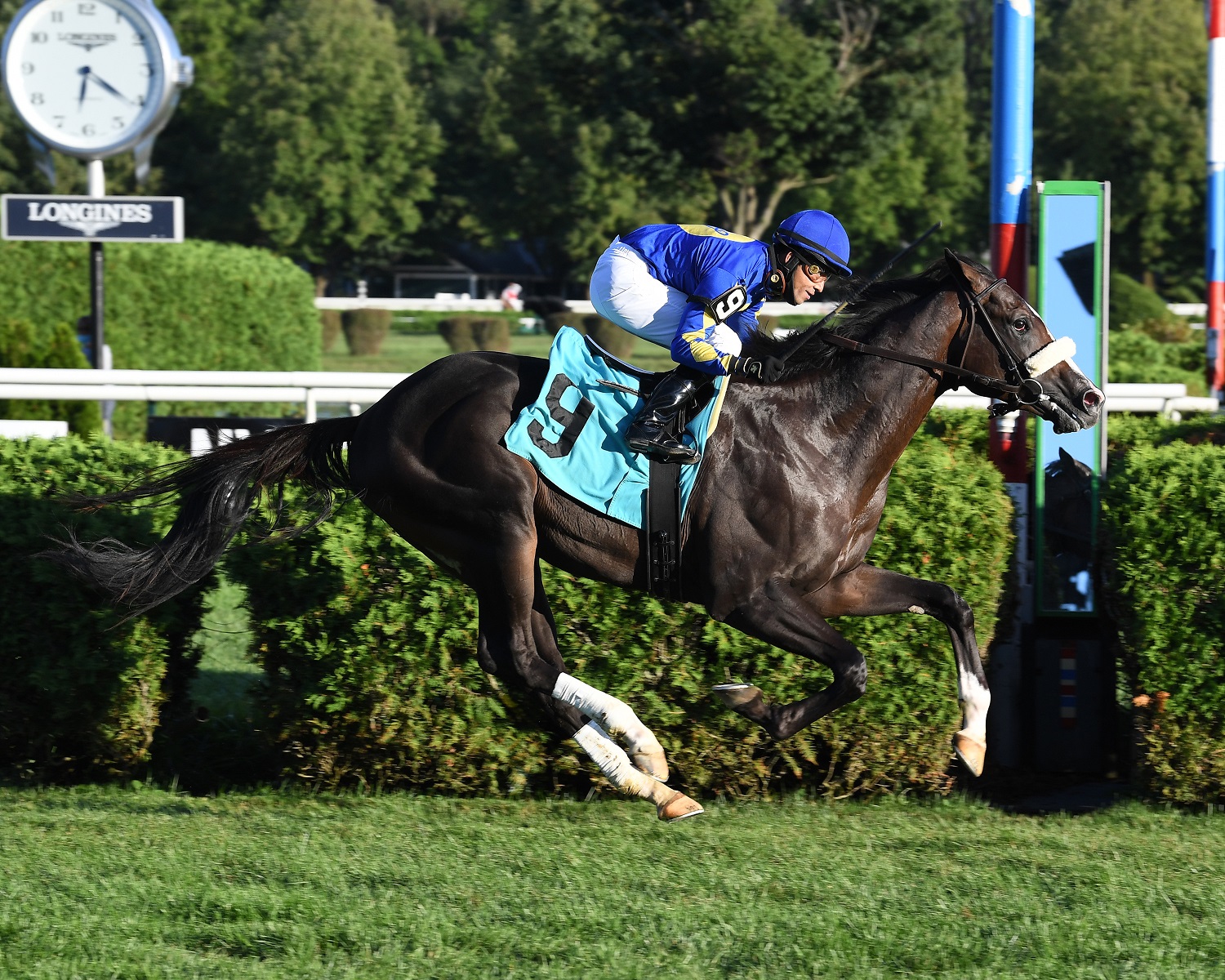 Woodbine Winter Report: March 24, 2021 - Woodbine Racetrack