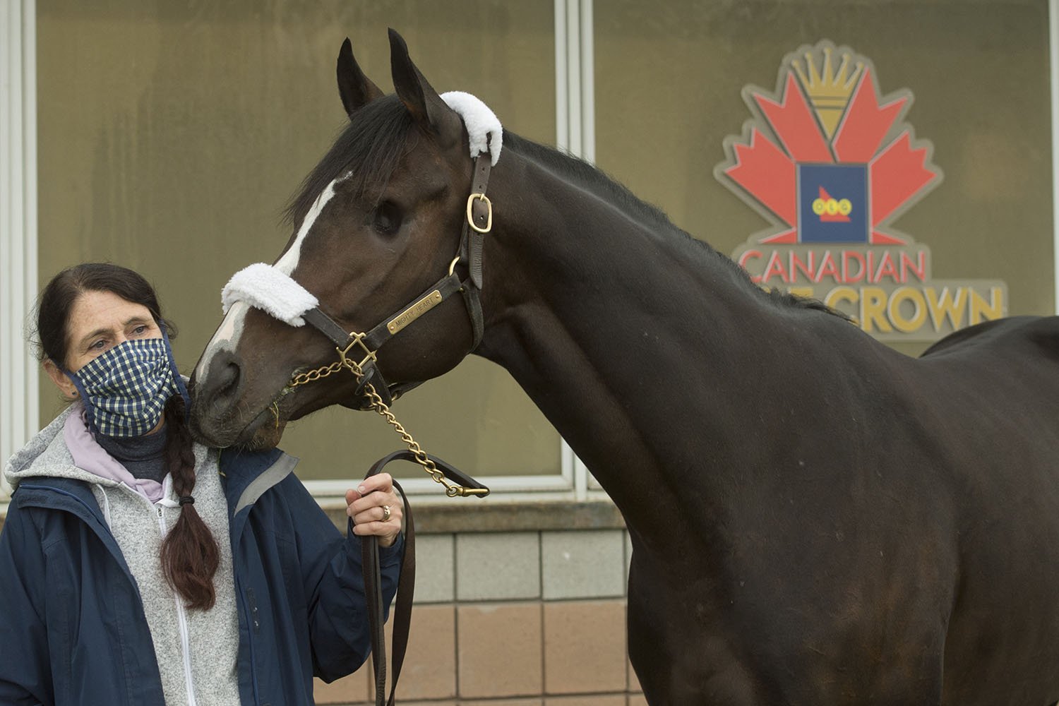 Mighty Heart chases OLG Canadian Triple Crown champion history in ...