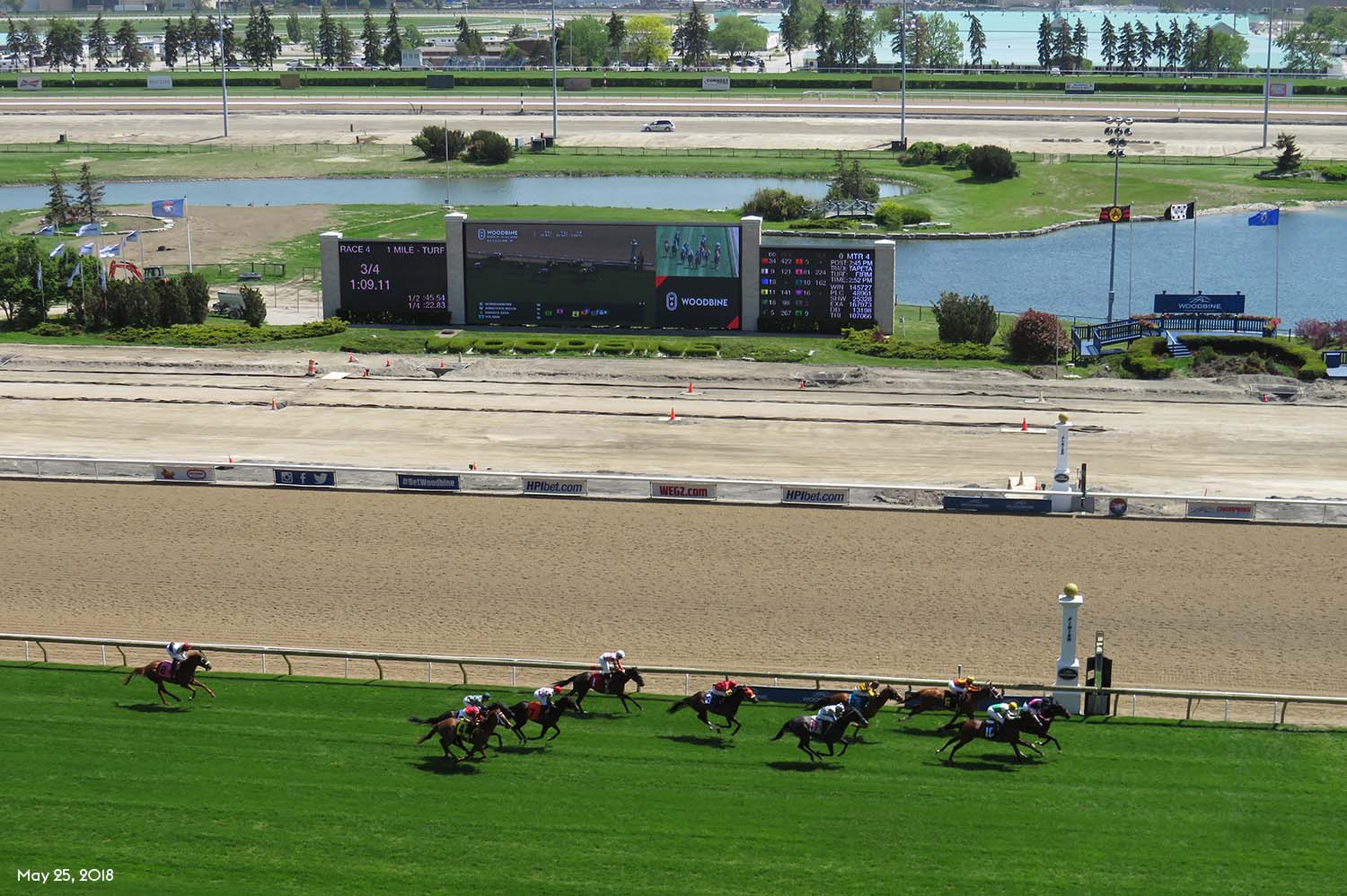 Woodbine’s new turf course on track - Woodbine Racetrack