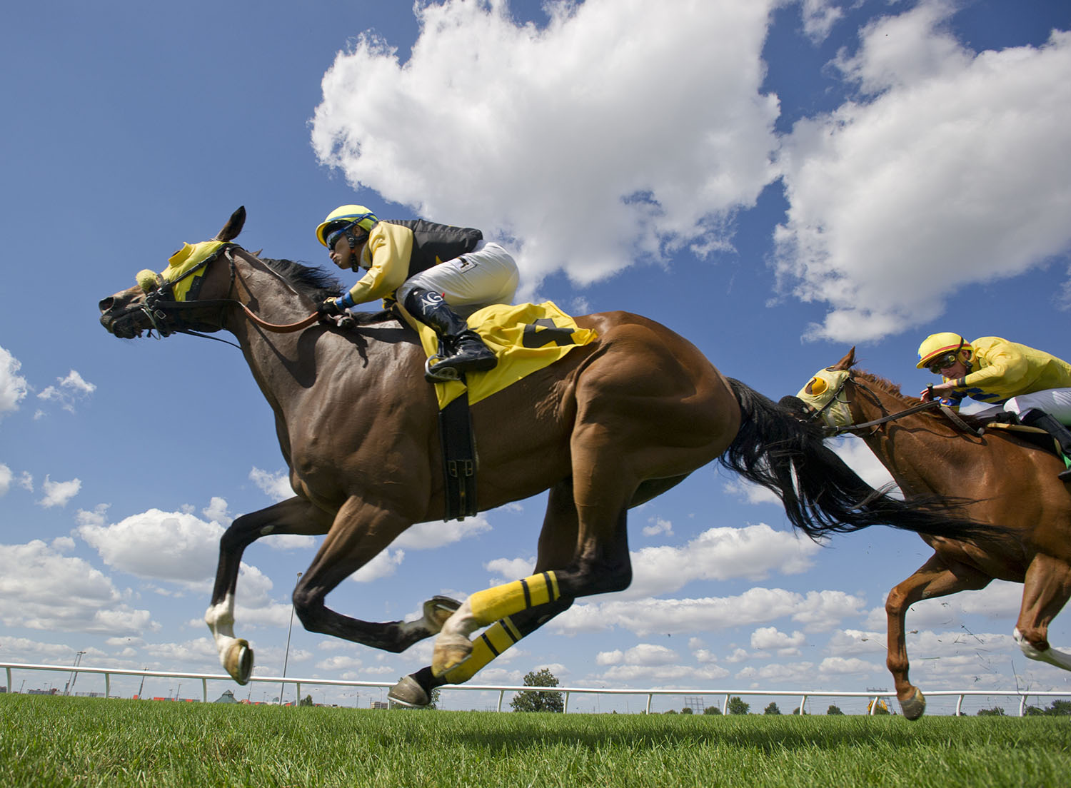 Senior Industry Leaders Selected For Key ORM Leadership Positions ...