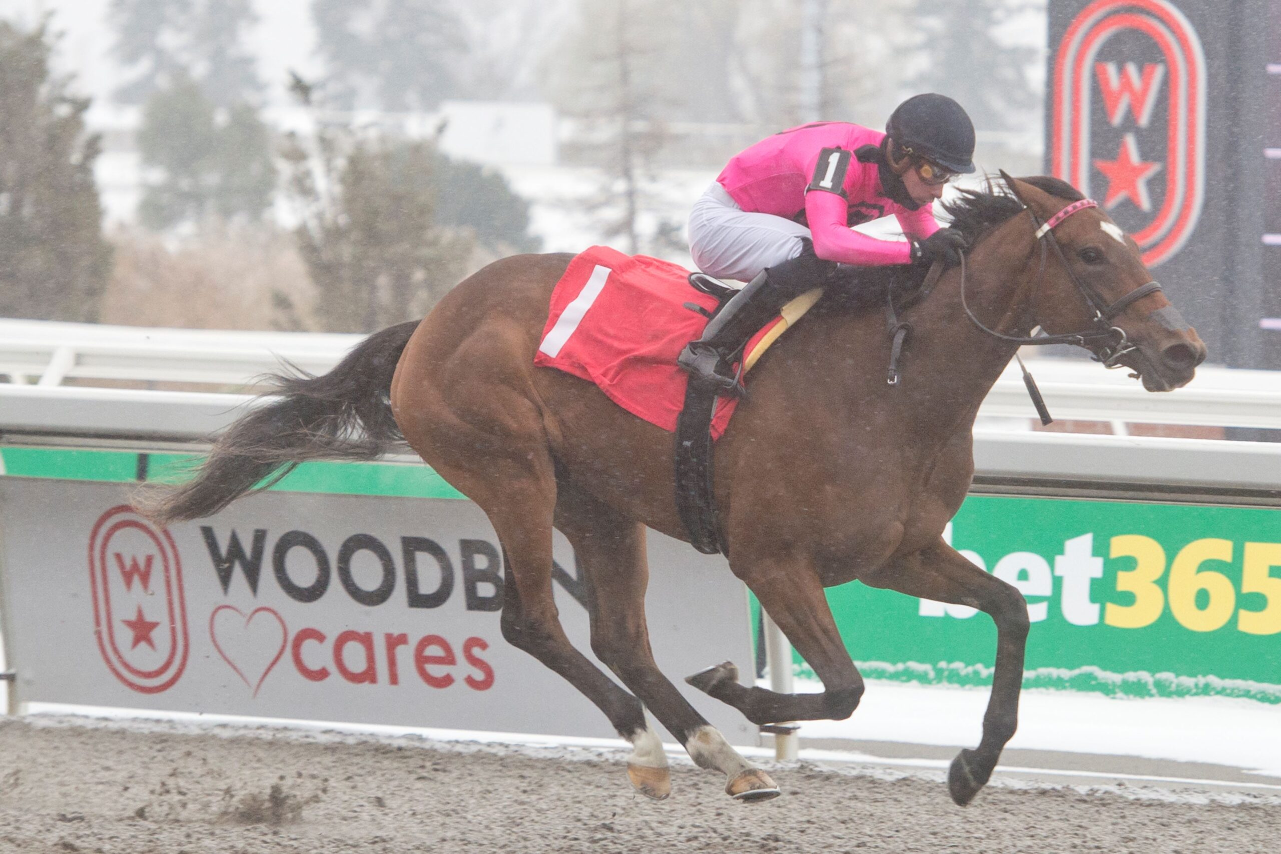 A Closer Look – Doug McPherson (July 20) - Woodbine Racetrack