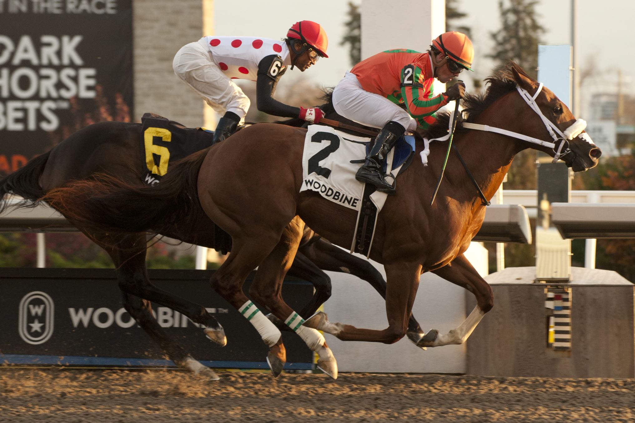 Rookies step into the spotlight in Grade 3 Grey and Grade 3 Mazarine ...