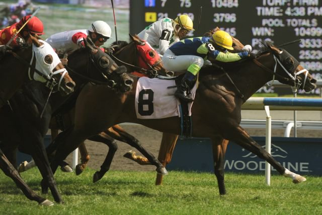 Top 5 races of the week (July 13-17) - Woodbine Racetrack