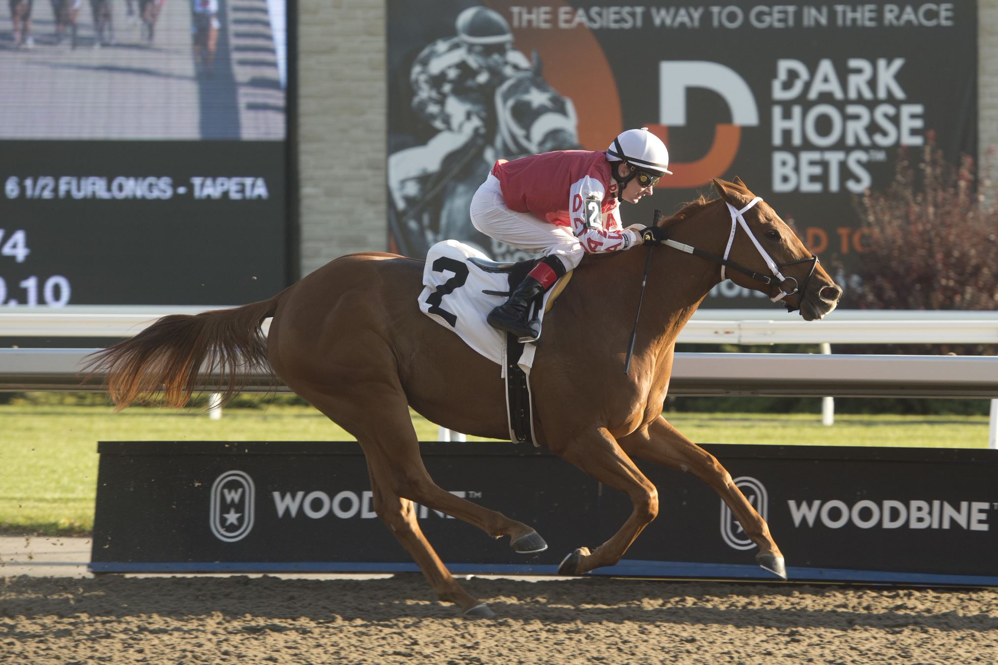 ‘Rebel’ with a Jacques Cartier cause - Woodbine Racetrack