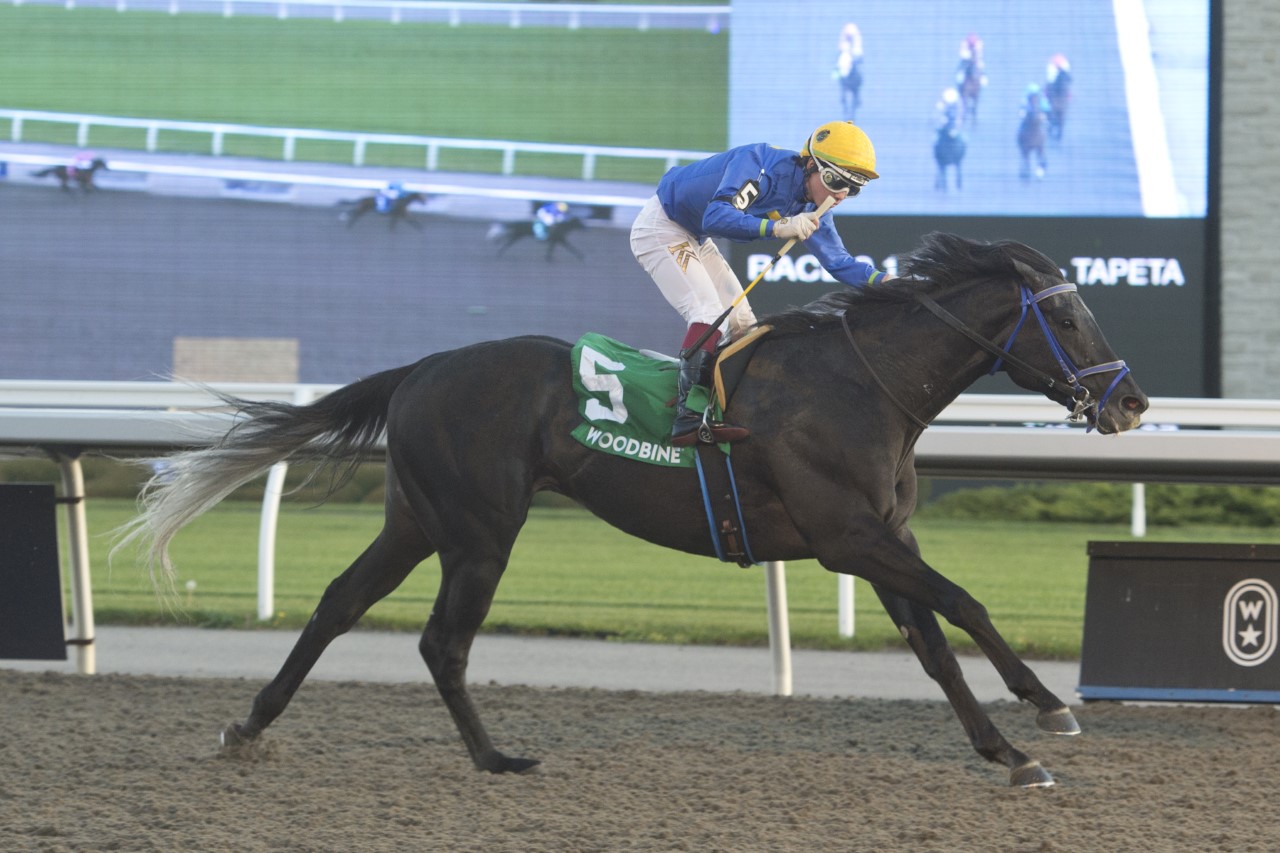 Ironstone rock-solid in Grade 3 Ontario Derby - Woodbine Racetrack
