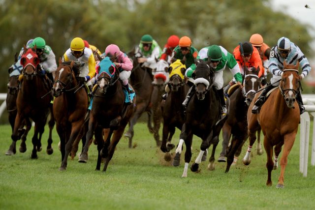 View From The Booth by Robert Geller - Woodbine Racetrack