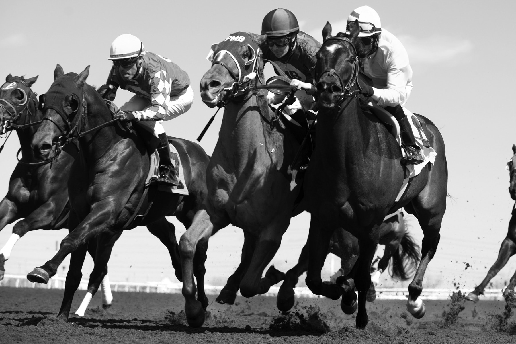 Home - Woodbine Racetrack