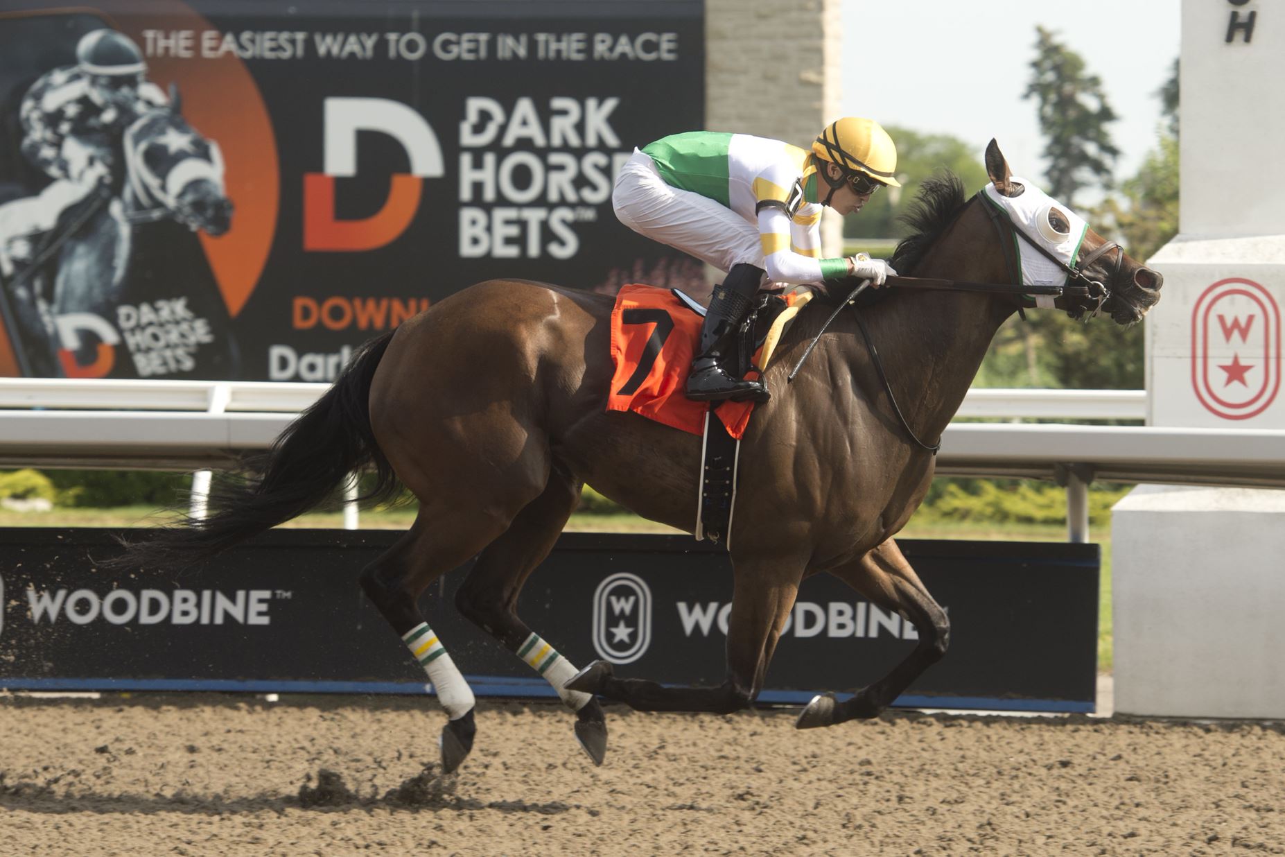 Hard Edge looks for winning edge in Grade 3 Whimsical - Woodbine Racetrack