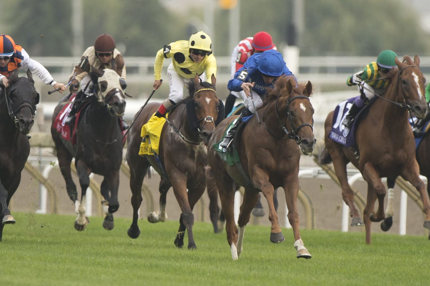 Woodbine Set for Most Exciting Racing Season in Recent History ...