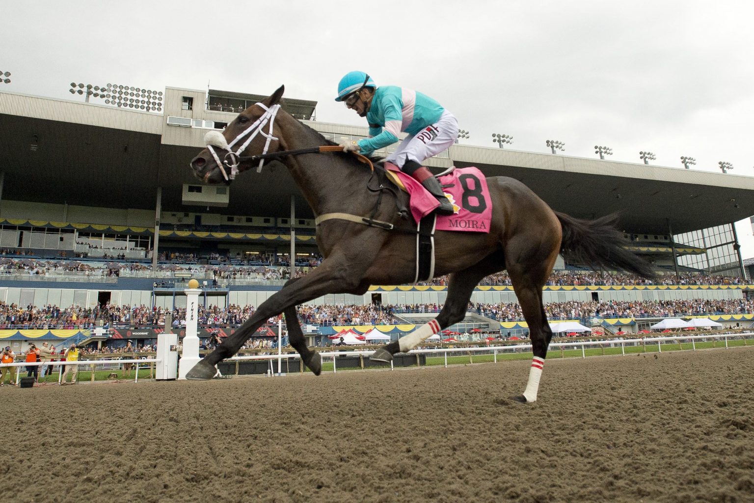 Woodbine Set for Most Exciting Racing Season in Recent History ...