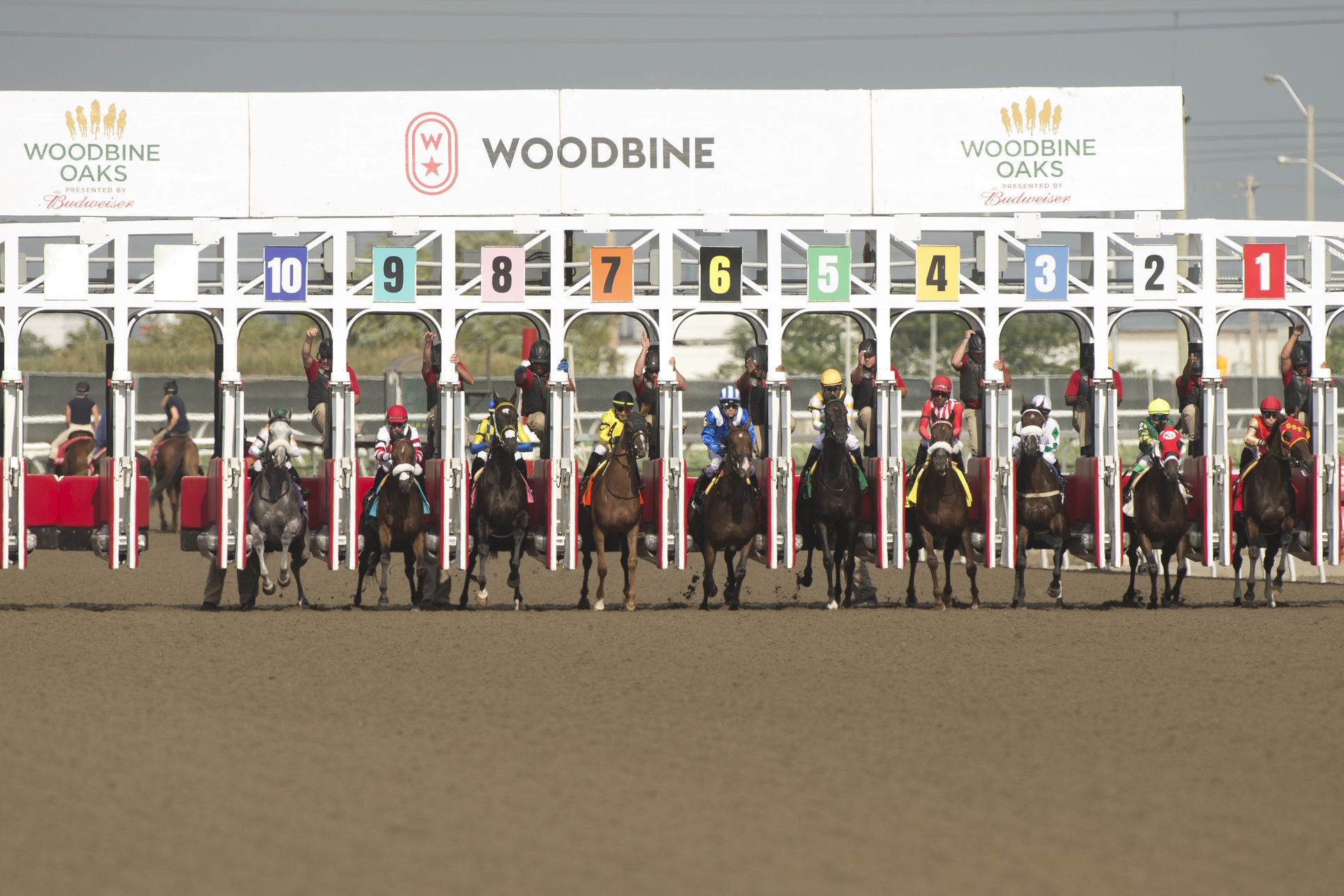 Nominations released for King’s Plate and Woodbine Oaks - Woodbine ...