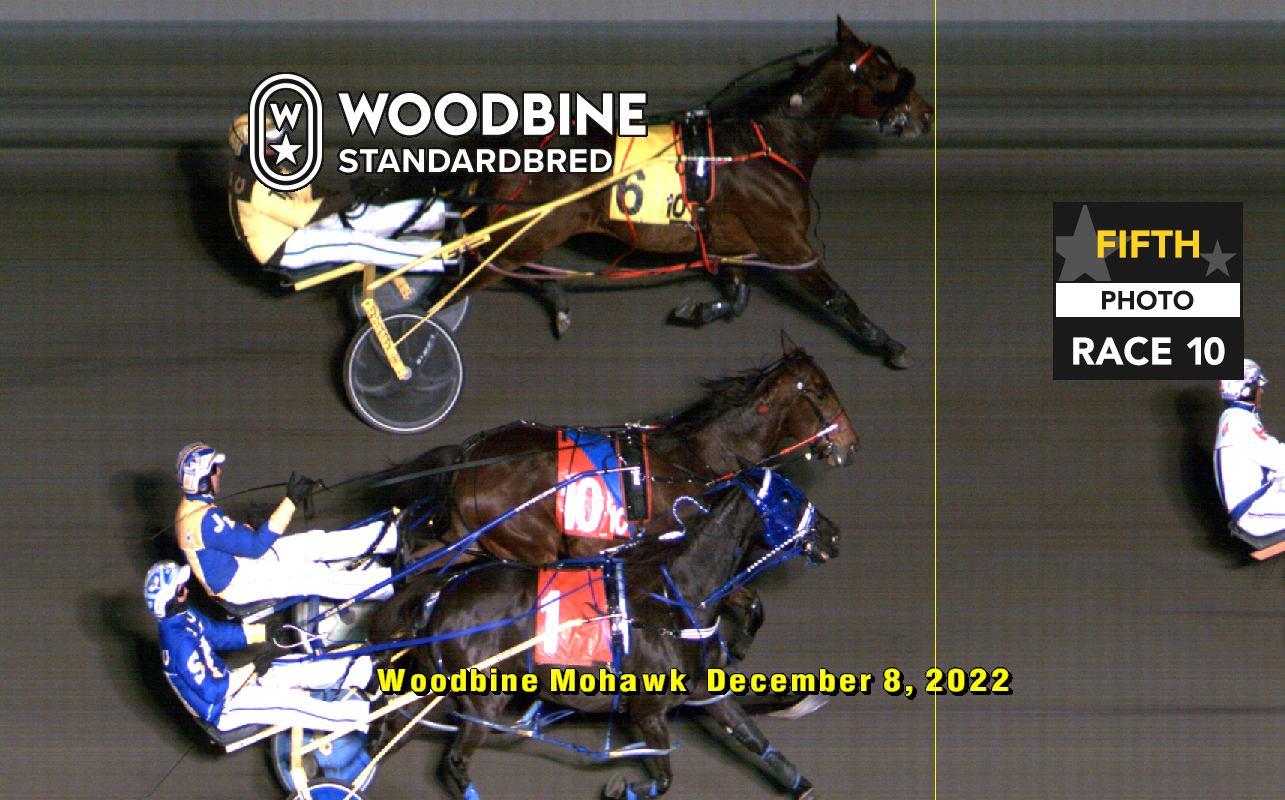 Photo Finish - Woodbine Mohawk Park